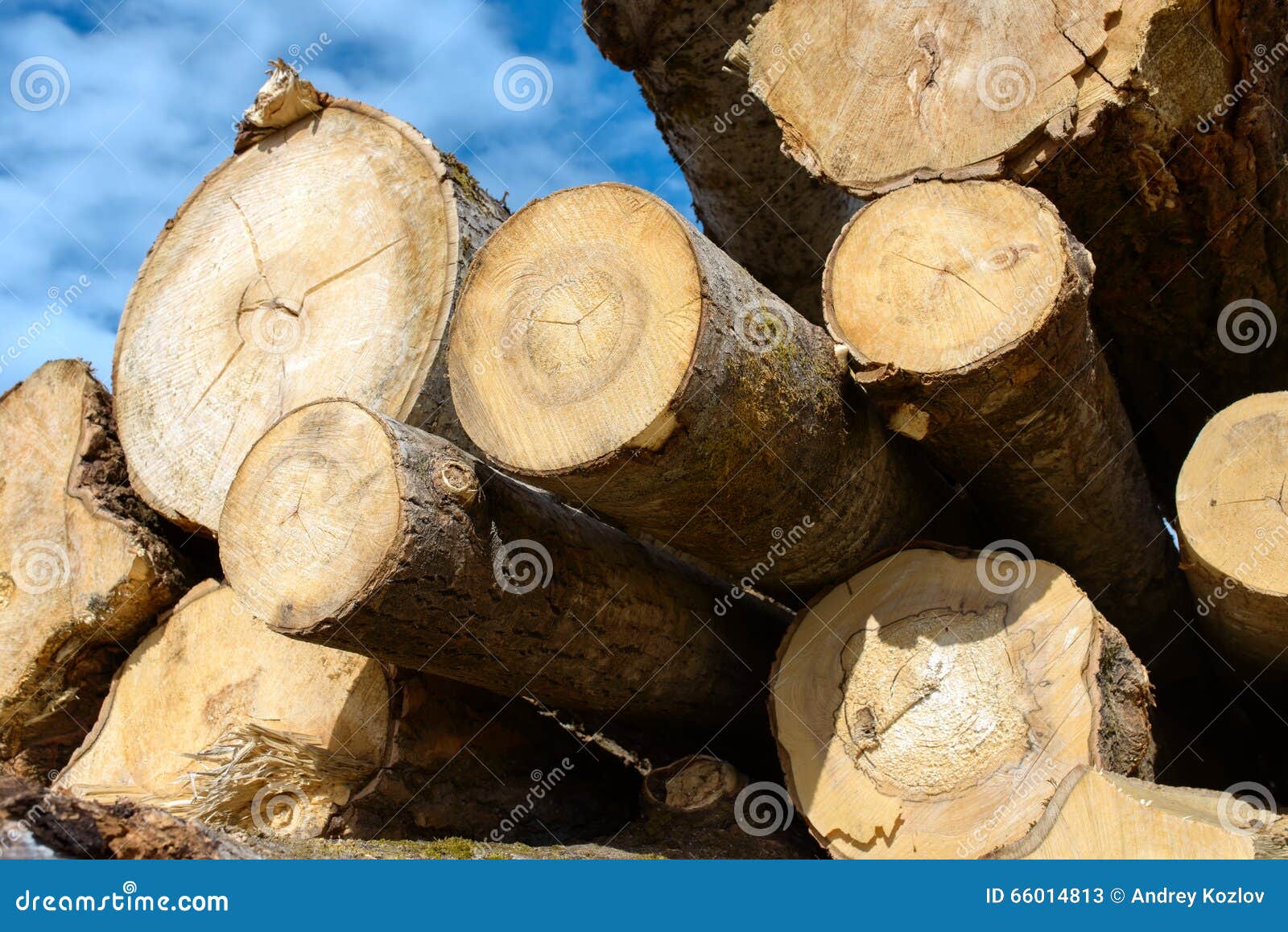 Wood logs on blue sky stock image. Image of nature, closeup - 66014813