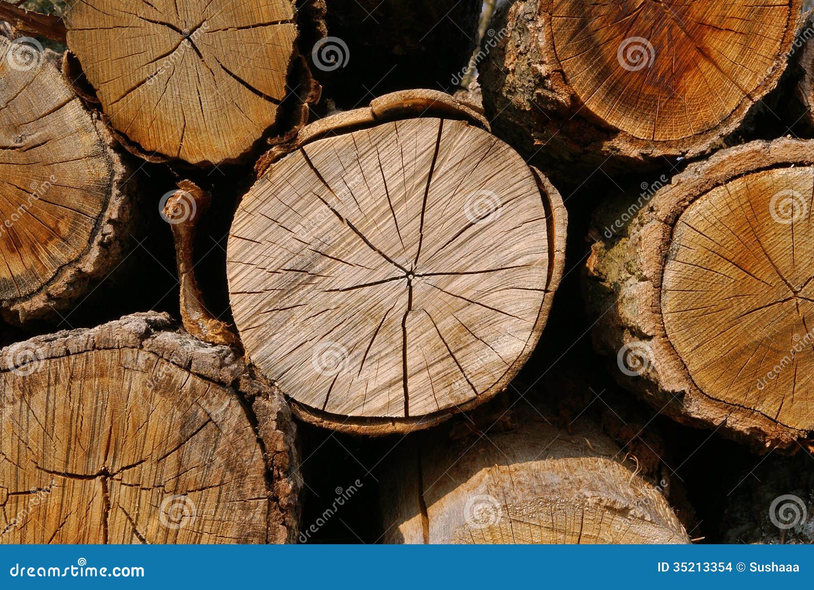 Wood logs stock photo. Image of pine, trunk, timber, natural - 35213354