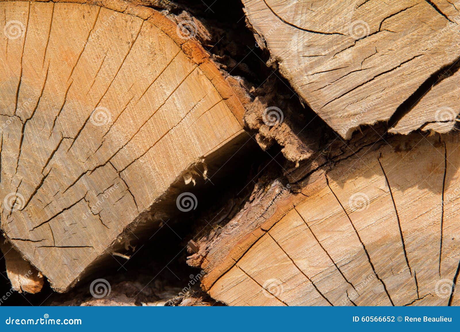 Wood logs close-up stock photo. Image of wood, close - 60566652