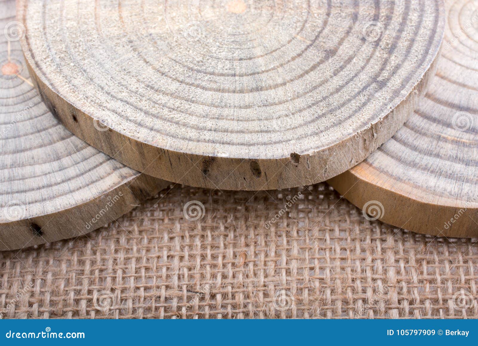 Wood Logs Cut in Round Thin Pieces Stock Illustration - Illustration of ...