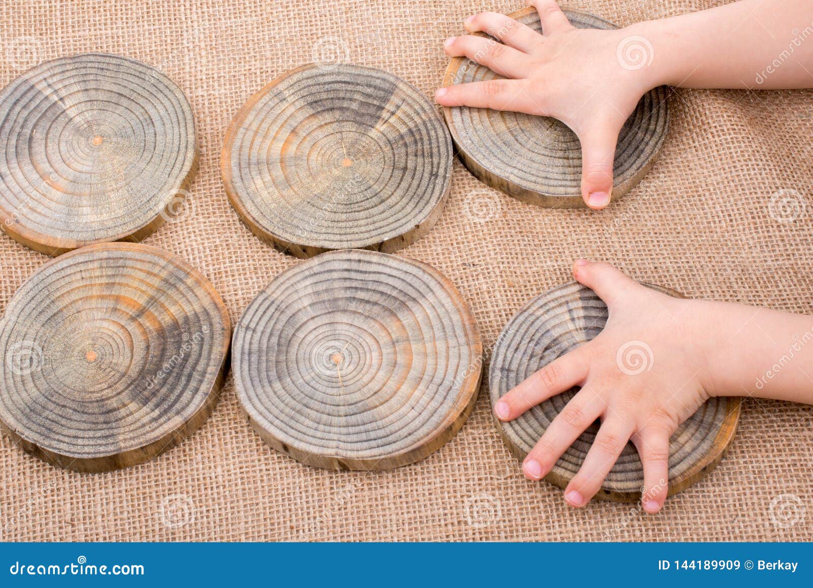 Wood Logs Cut in Round Thin Pieces Stock Image - Image of lumber ...