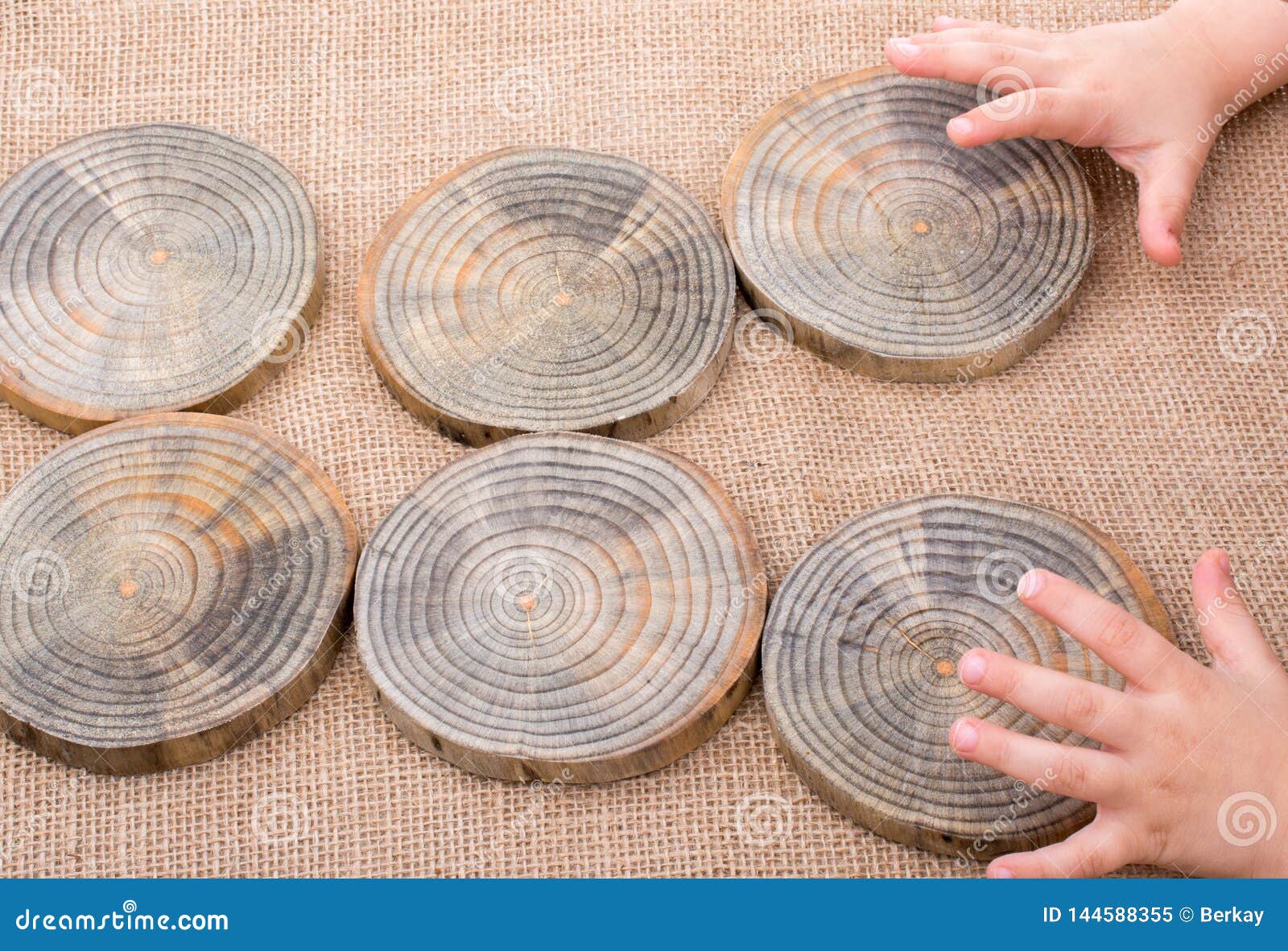 Wood Logs Cut in Round Thin Pieces Stock Image - Image of history ...