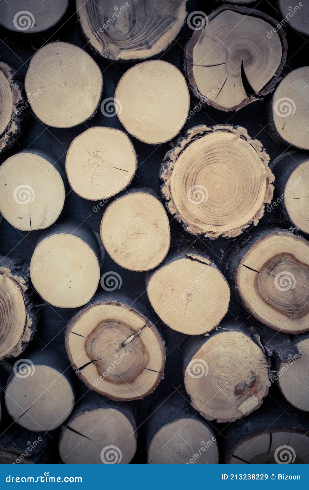 Wood Logs Cut in Section, Background Concept Stock Image - Image of ...