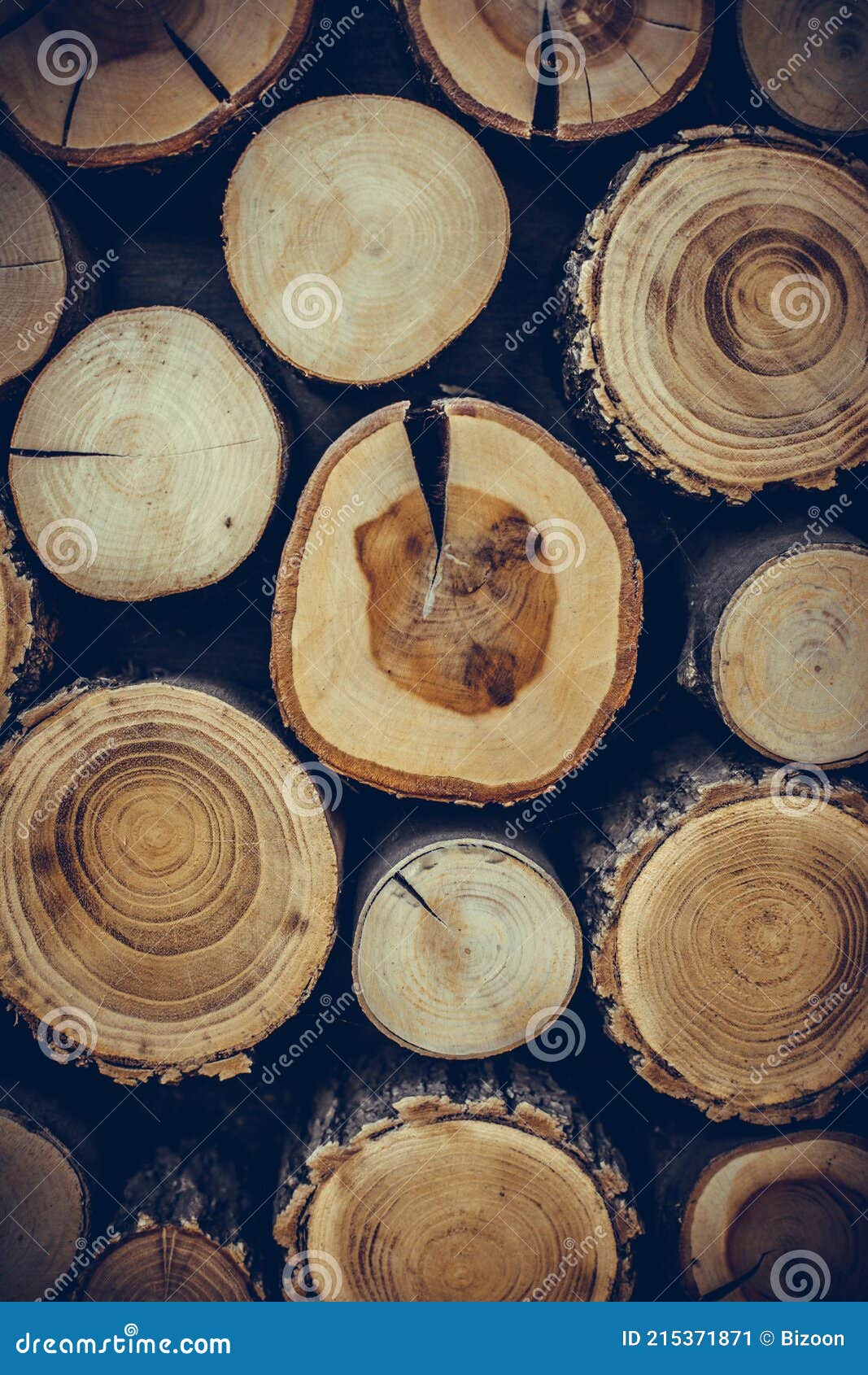 Wood Logs Cut in Section, Background Concept Stock Image - Image of ...
