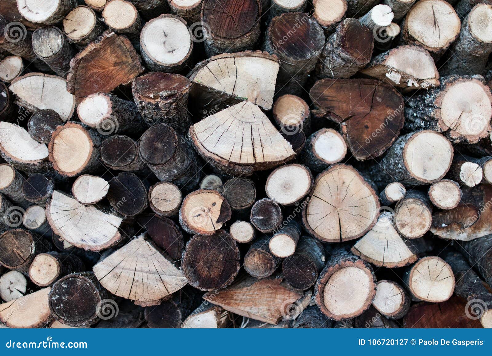 Wood Logs Cut with the Visible Grain. Wood for Winter with Different ...