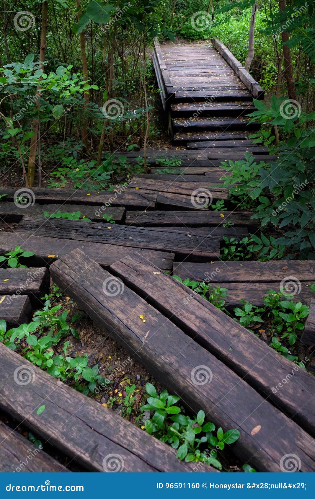 Wood Logs Pathway To the Bridge Stock Photo - Image of travel, fountain ...