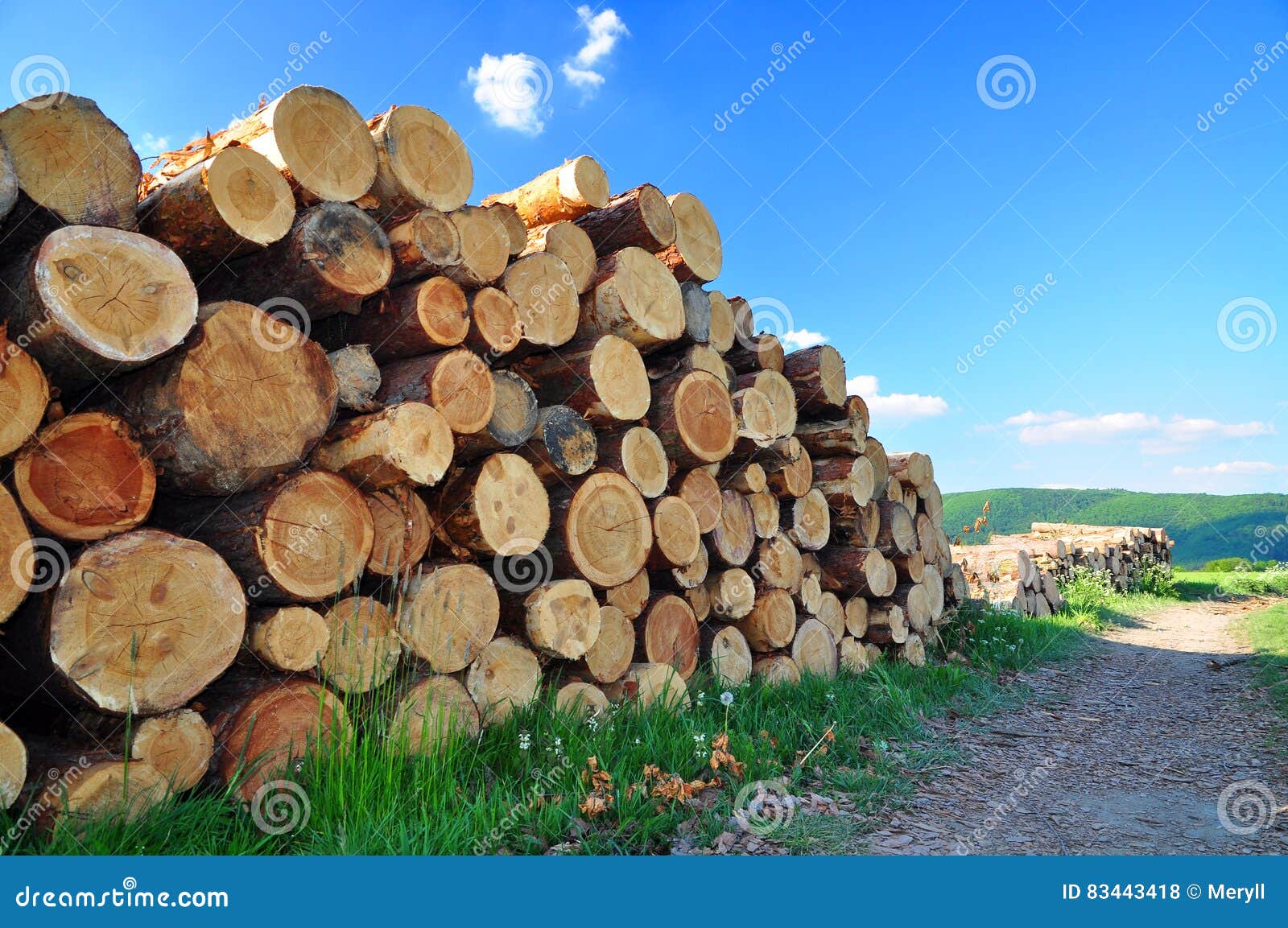 Wood logs pile stock photo. Image of storage, summer - 83443418