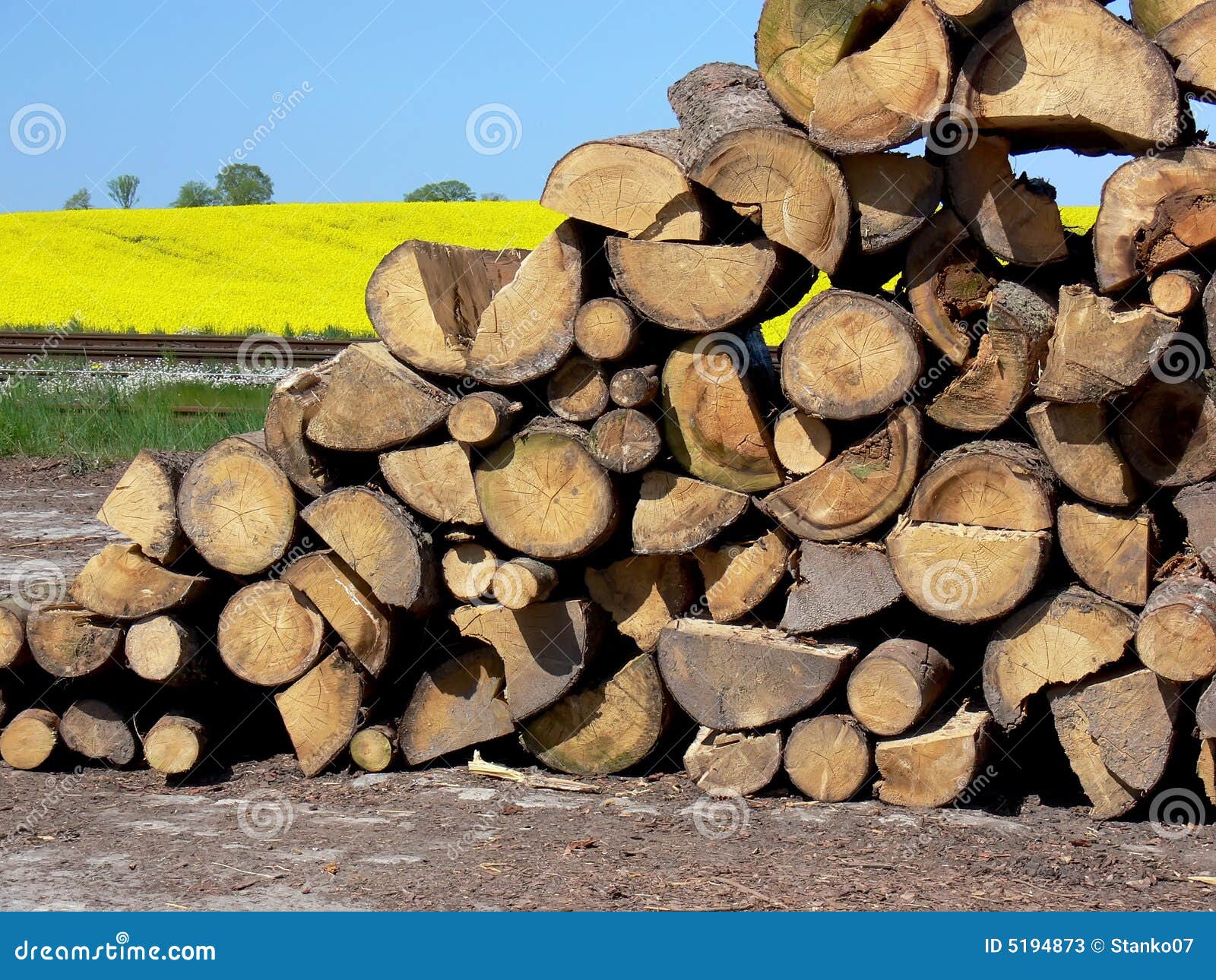 Wood Logs Split and Stacked Stock Image - Image of piles, chopped: 5194873