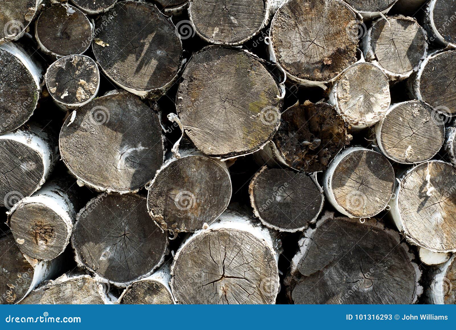 Wood Logs in a Stack Pattern Stock Image - Image of background, natural ...