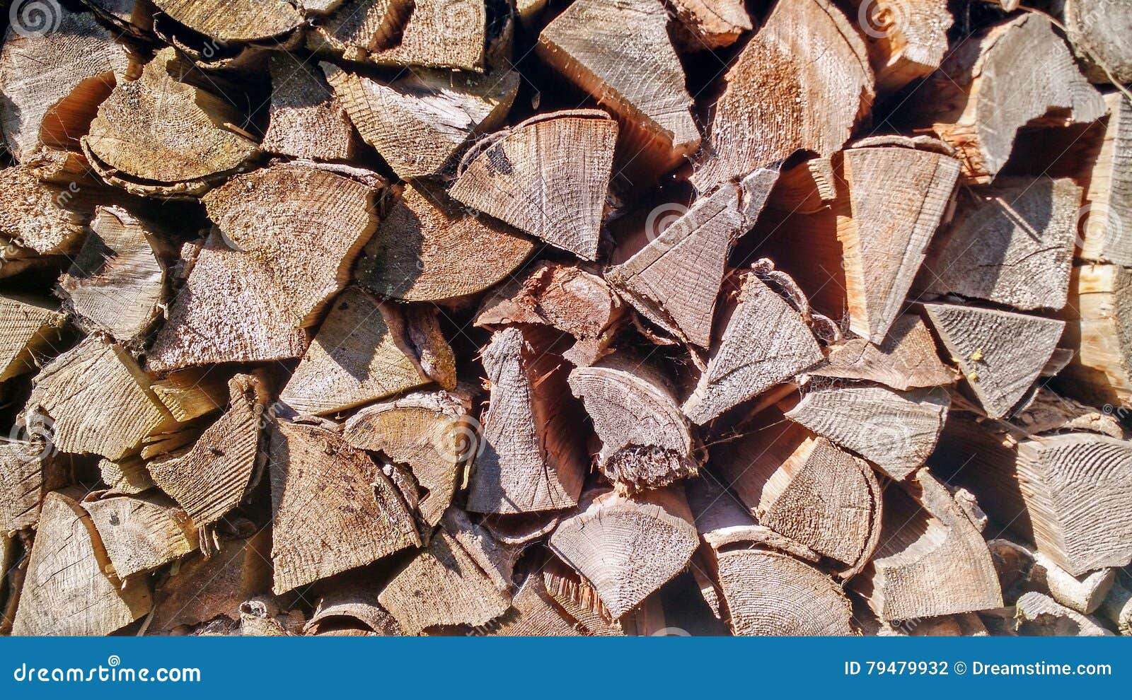 Wood logs texture stock photo. Image of abstract, needle - 79479932