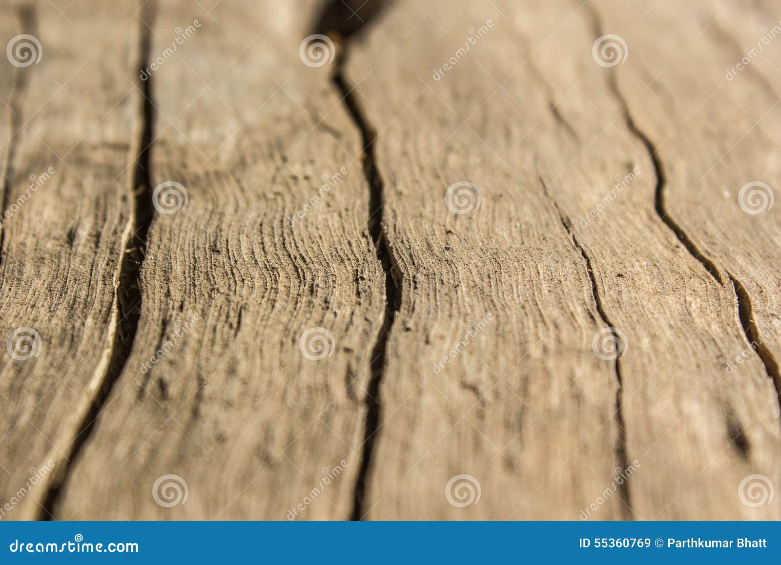 Wood Macro Texture - 8 stock image. Image of macro, pattern - 55360769