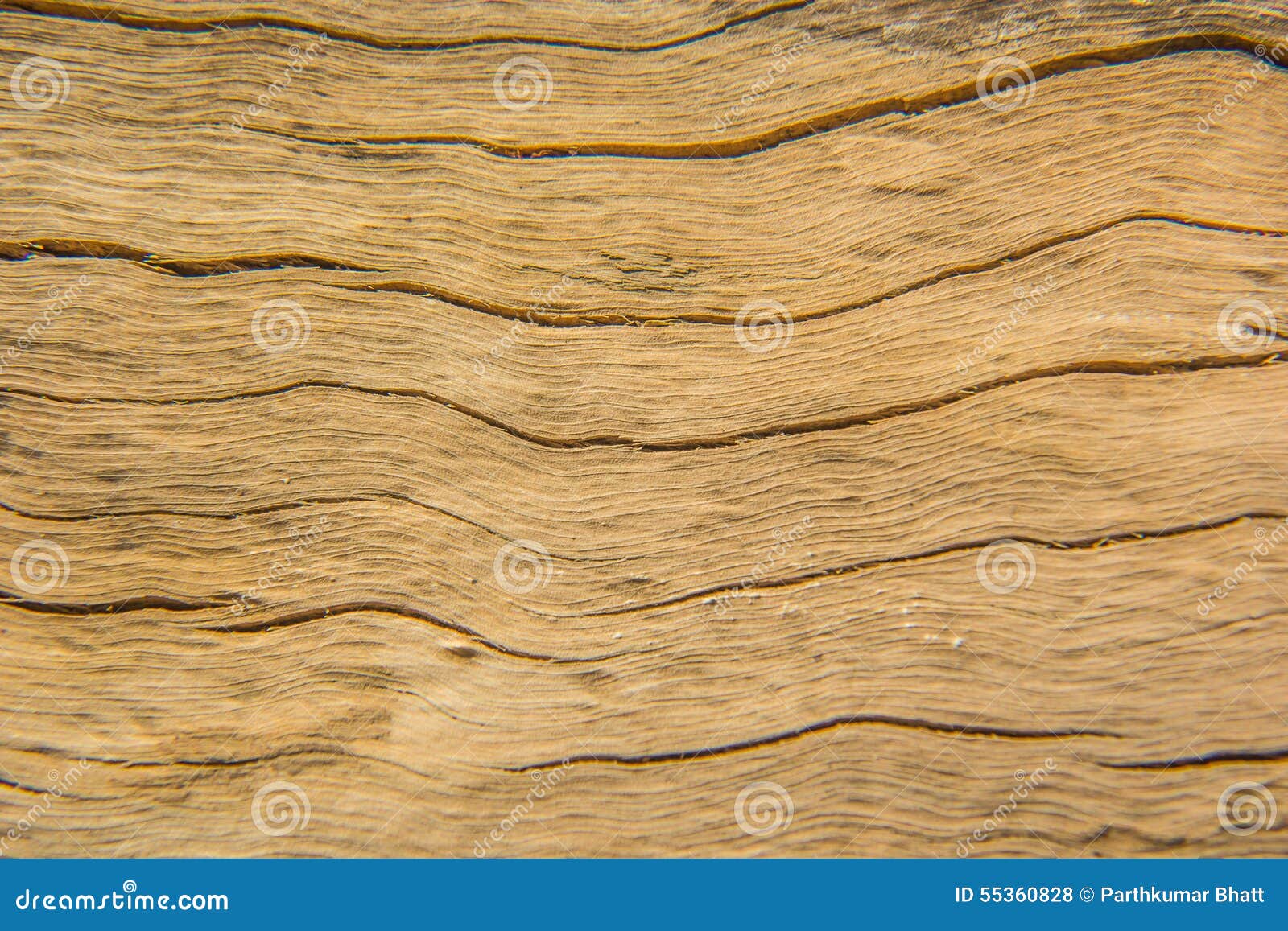 Wood Macro Texture - 4 stock photo. Image of cross, background - 55360828