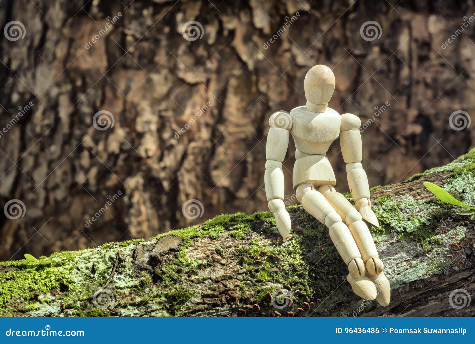 Wood Mannequin Sitting on a Log in Nature. Stock Photo - Image of human ...