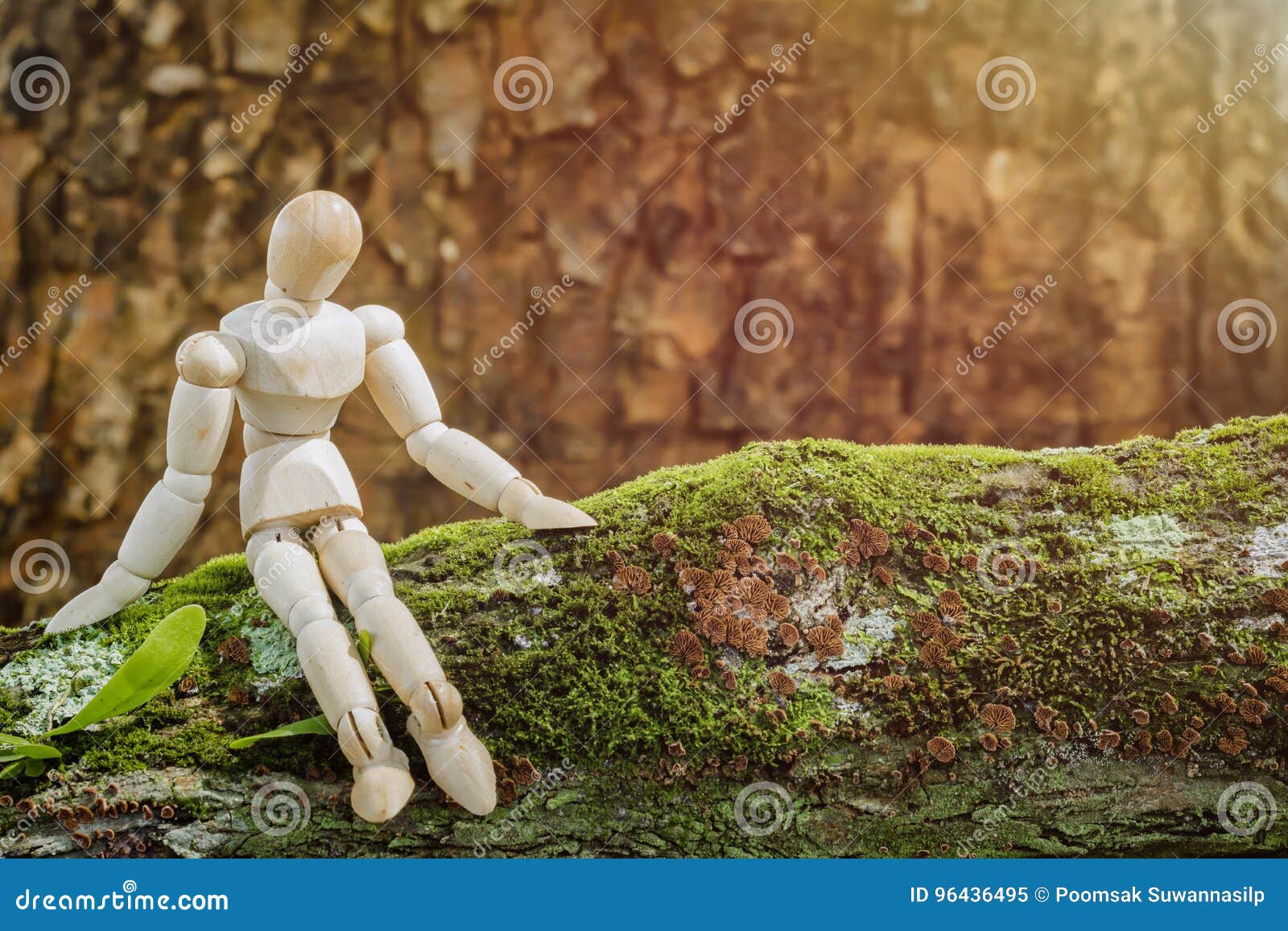 Wood Mannequin Sitting on a Log in Nature. Stock Image - Image of human ...