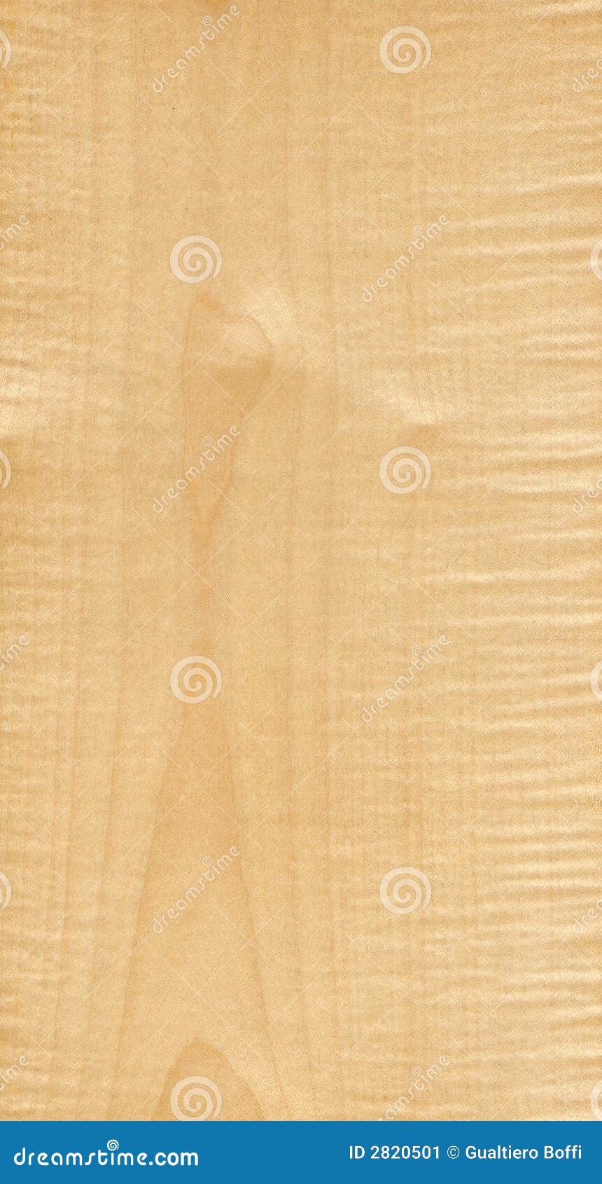 Wood maple stock image. Image of grungy, decorative, maple - 2820501