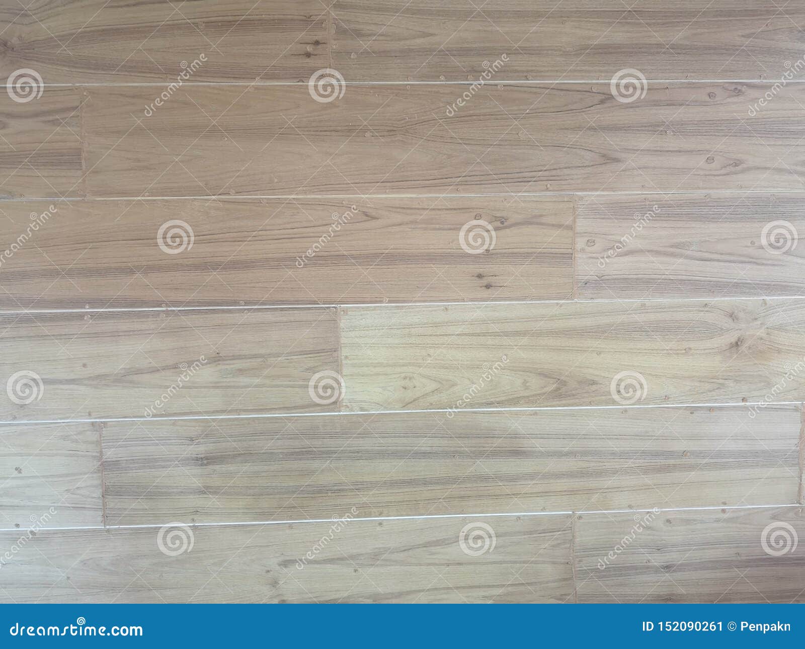 Wood Material Wall Burr Surface Texture Reflex Stock Image - Image of ...