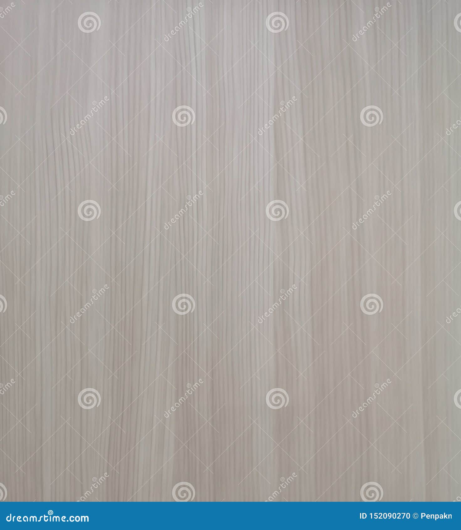 Wood Material Wall Burr Surface Texture Reflex Stock Photo - Image of ...