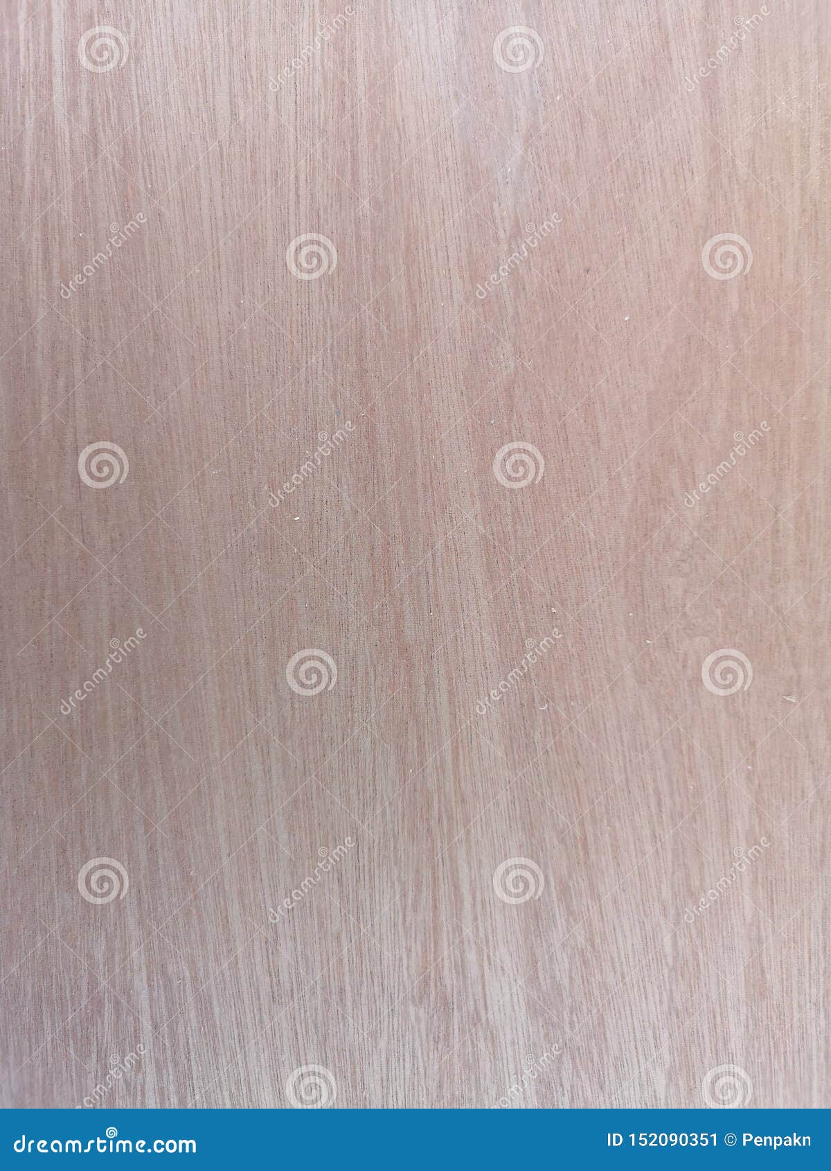 Wood Material Wall Burr Surface Texture Reflex Stock Image - Image of ...