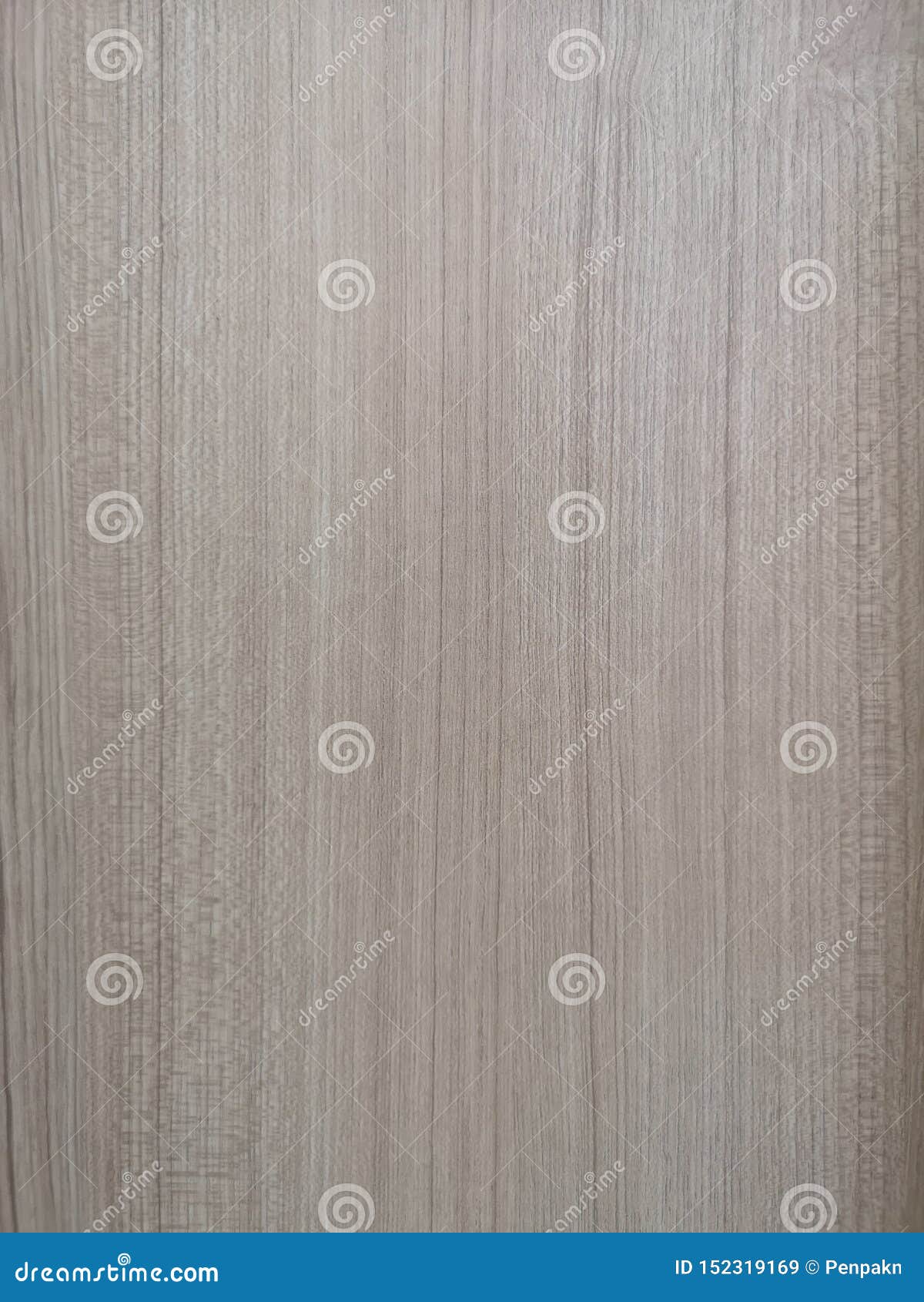Wood Material Wall Burr Surface Texture Stock Image - Image of pattern ...
