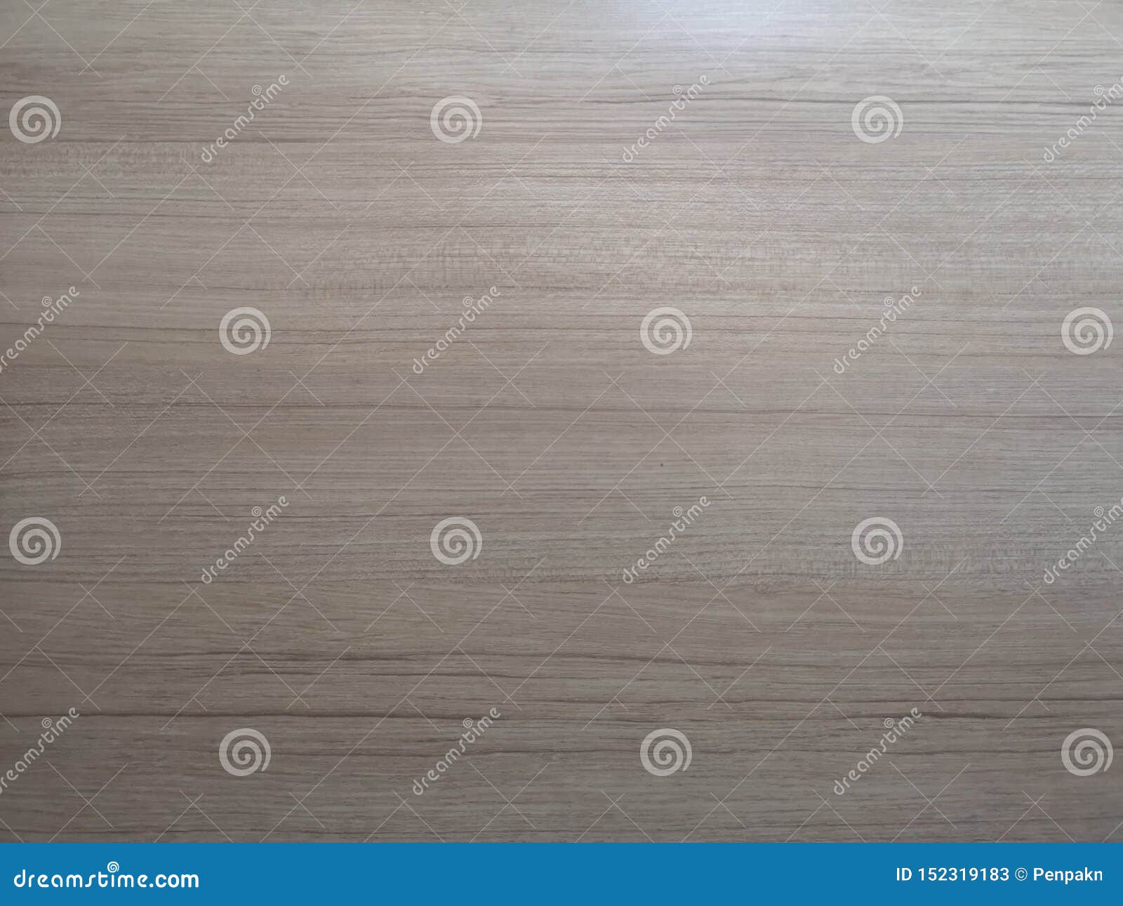 Wood Material Wall Burr Surface Texture Stock Image - Image of ...