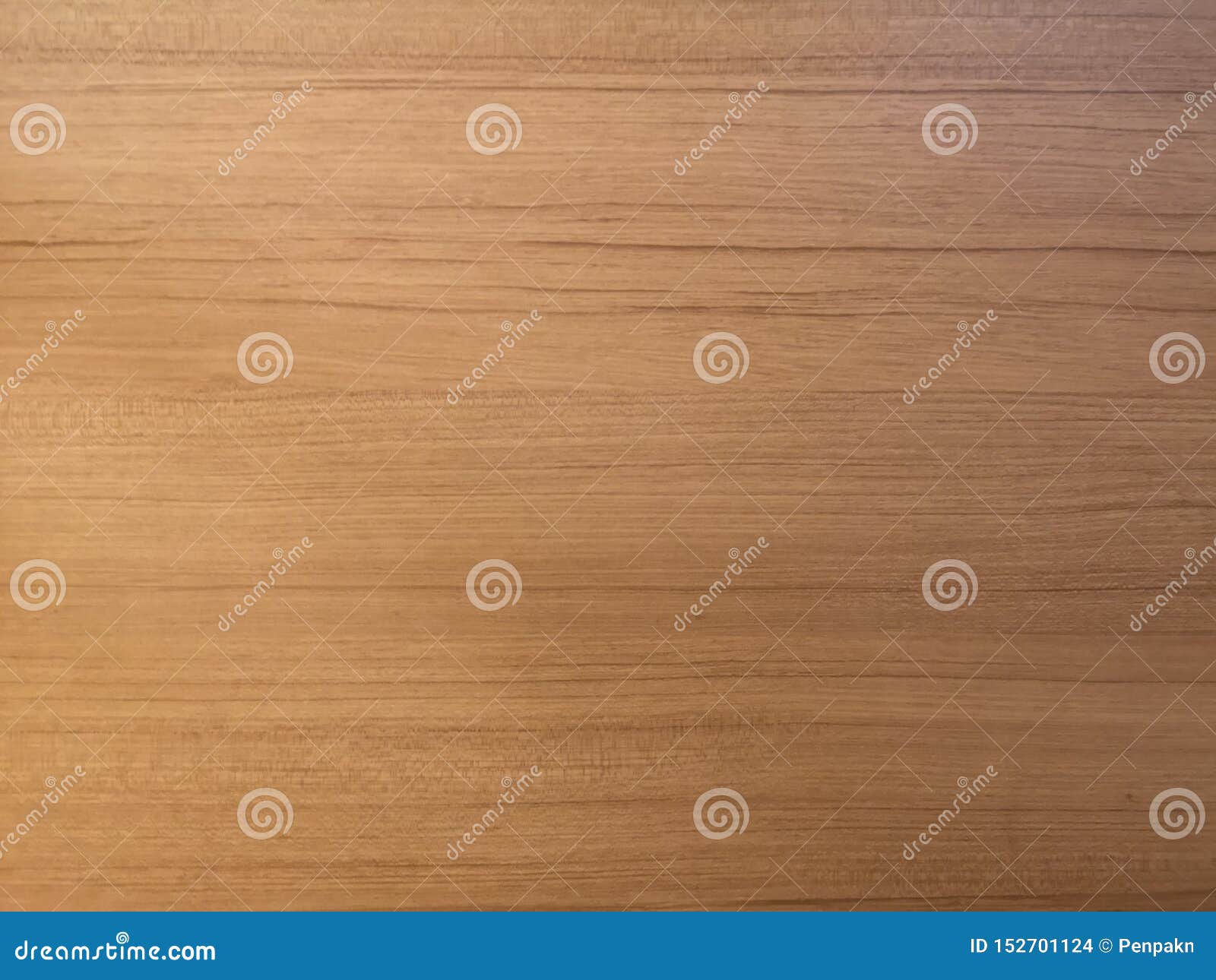 Wood Material Wall Burr Surface Texture Stock Photo - Image of lumber ...