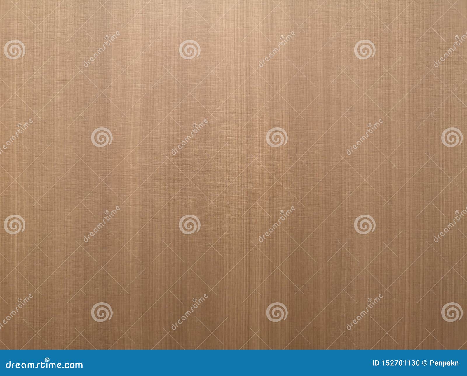 Wood Material Wall Burr Surface Texture Stock Photo - Image of floor ...