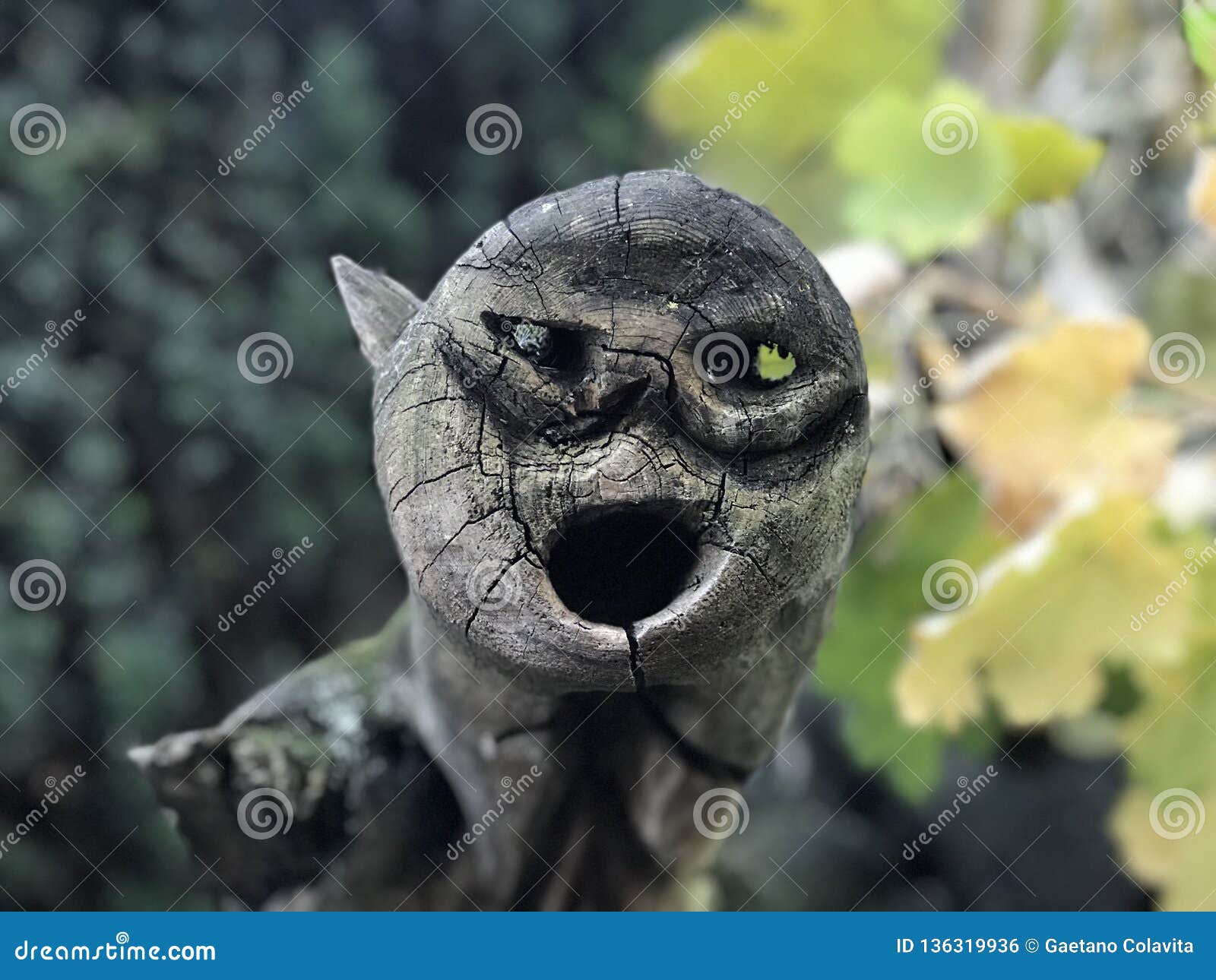 Wood monster stock photo. Image of face, scary, wood - 136319936