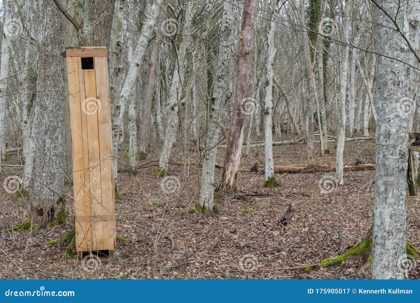 Wood Mould Box - Artificial Environment Stock Image - Image of trees ...