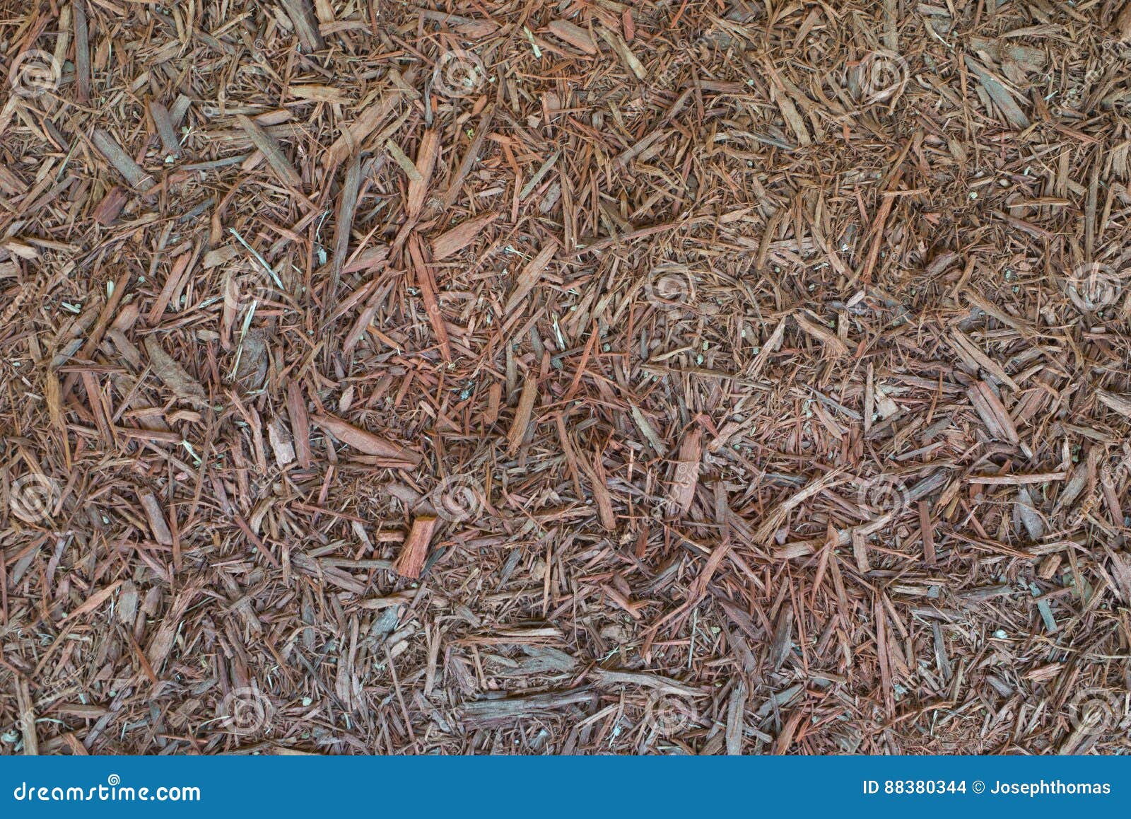 Wood Mulch Background. Wooden Bark Chip Texture Stock Image ...