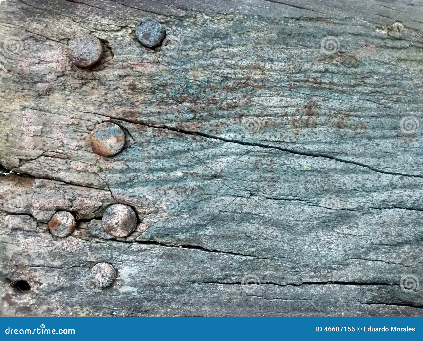 Close up madera con clavos stock photo. Image of textura - 46607156