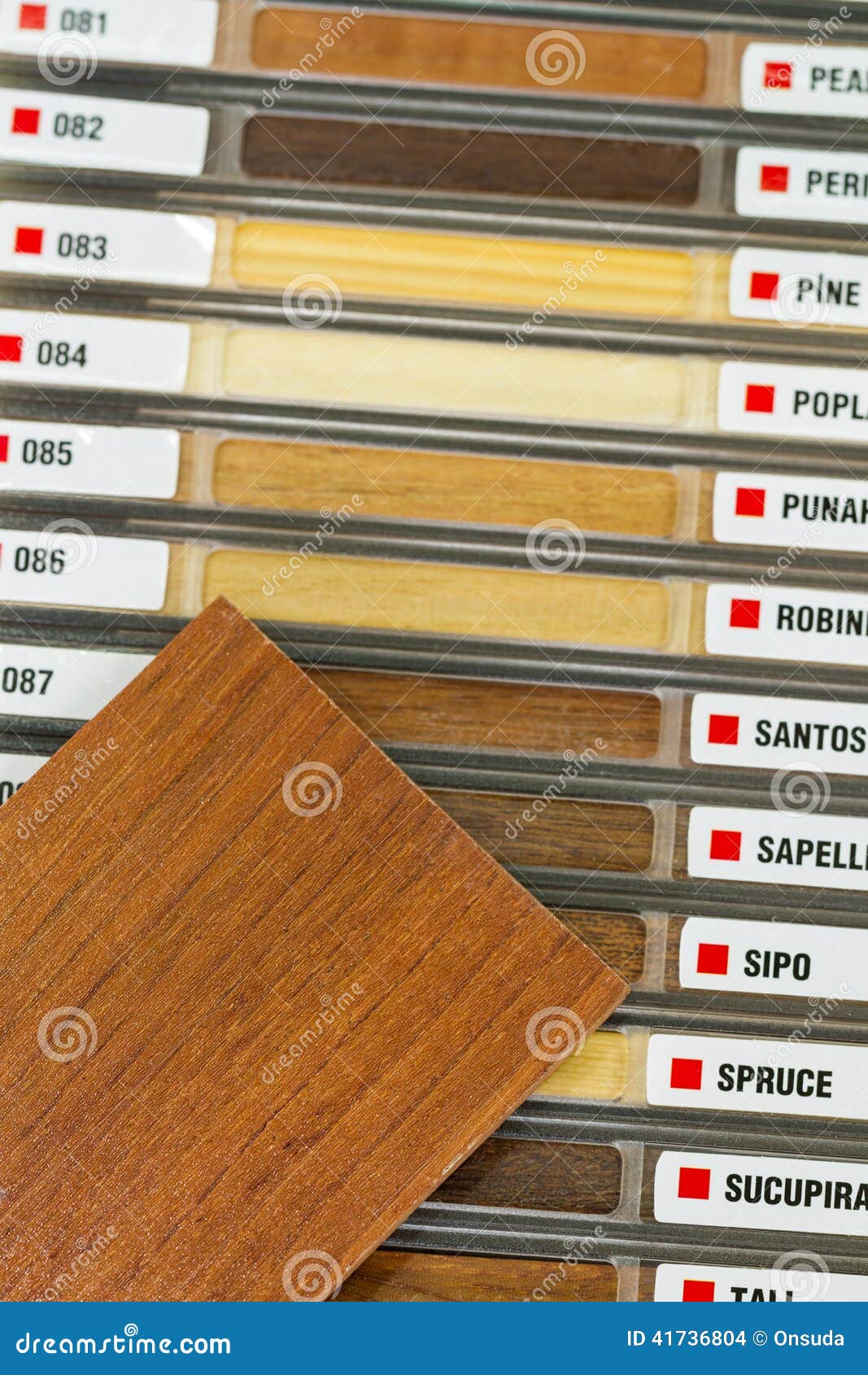Wood names and sample stock photo. Image of backdrop - 41736804