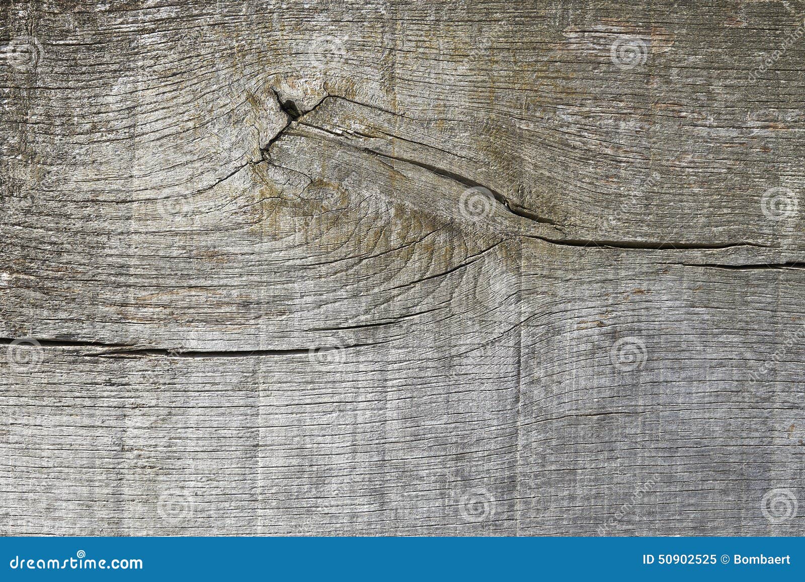Wood and Node Texture Background Stock Image - Image of texture, brown ...