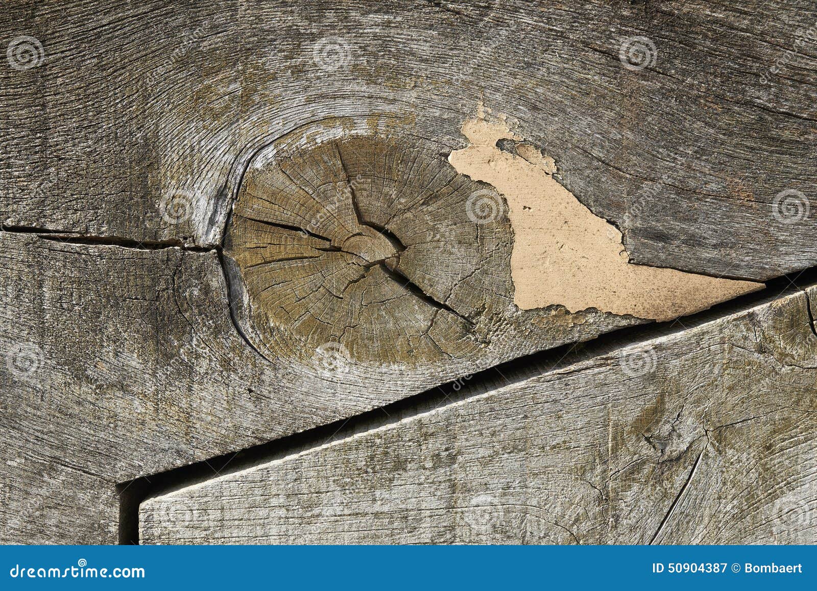 Wood and Node Texture Background Stock Image - Image of rustic, natural ...
