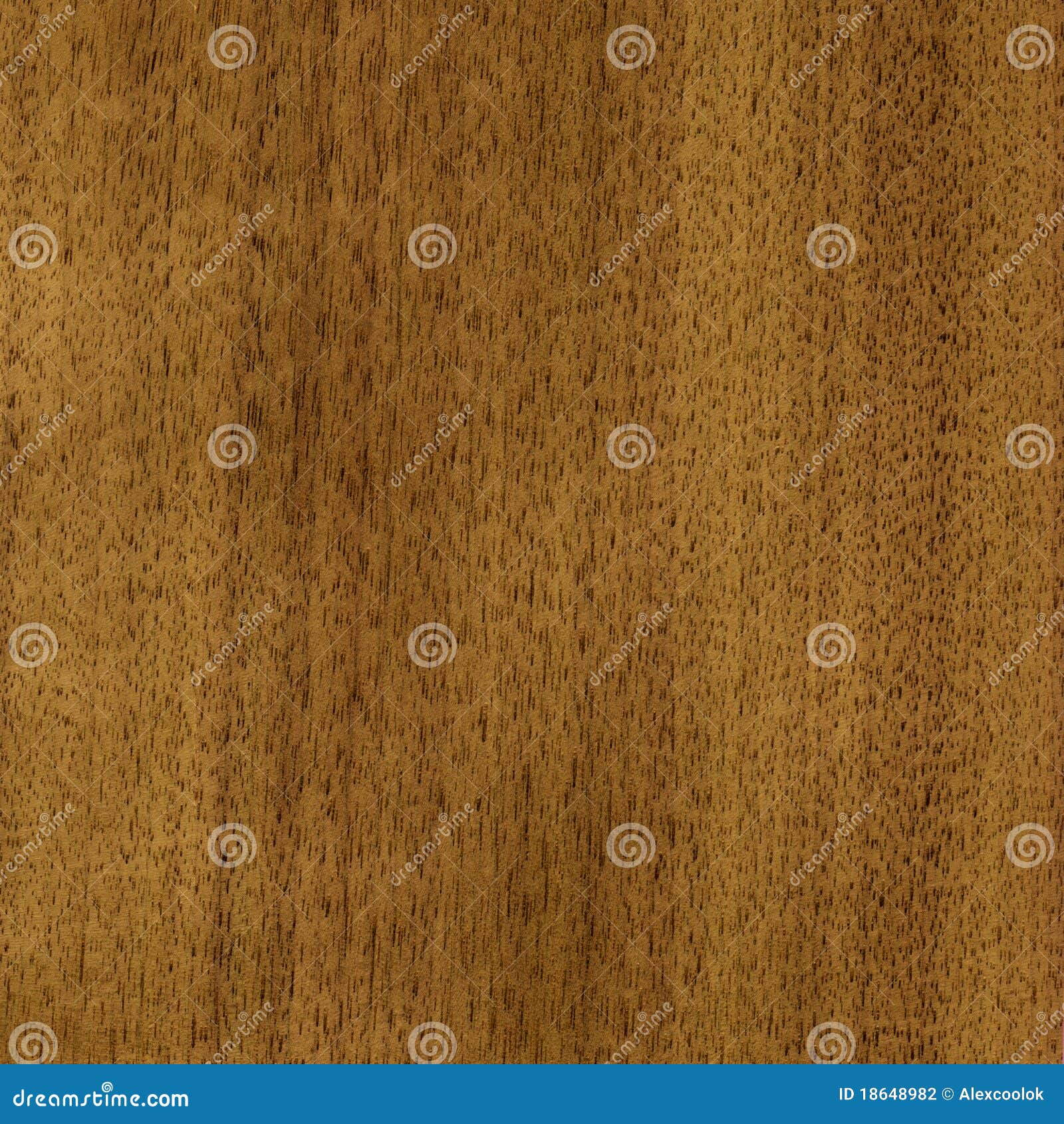 Nutwood Texture Stock Image | CartoonDealer.com #19050127