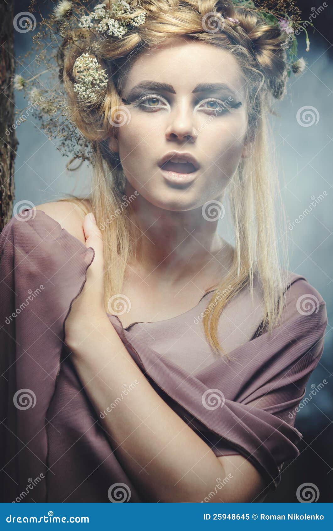 Wood nymph stock image. Image of attractive, adult, hairstyle - 25948645