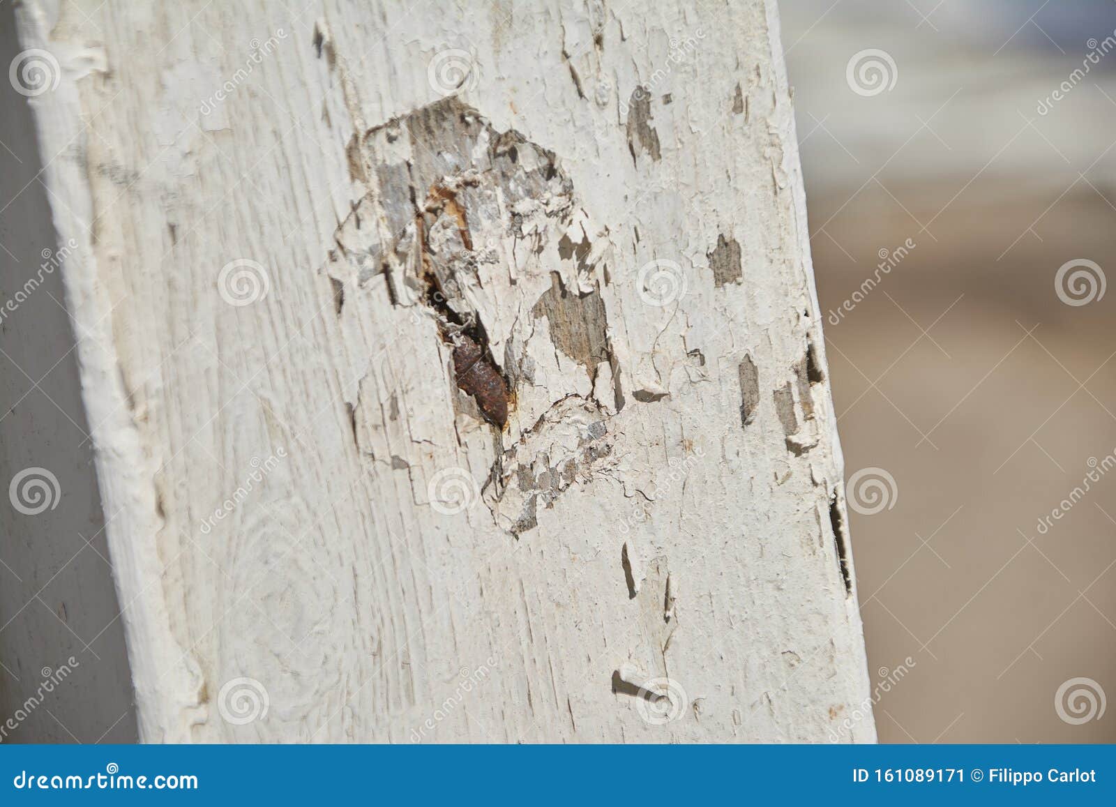 Incrustation Stock Photos - Download 1,090 Royalty Free Photos