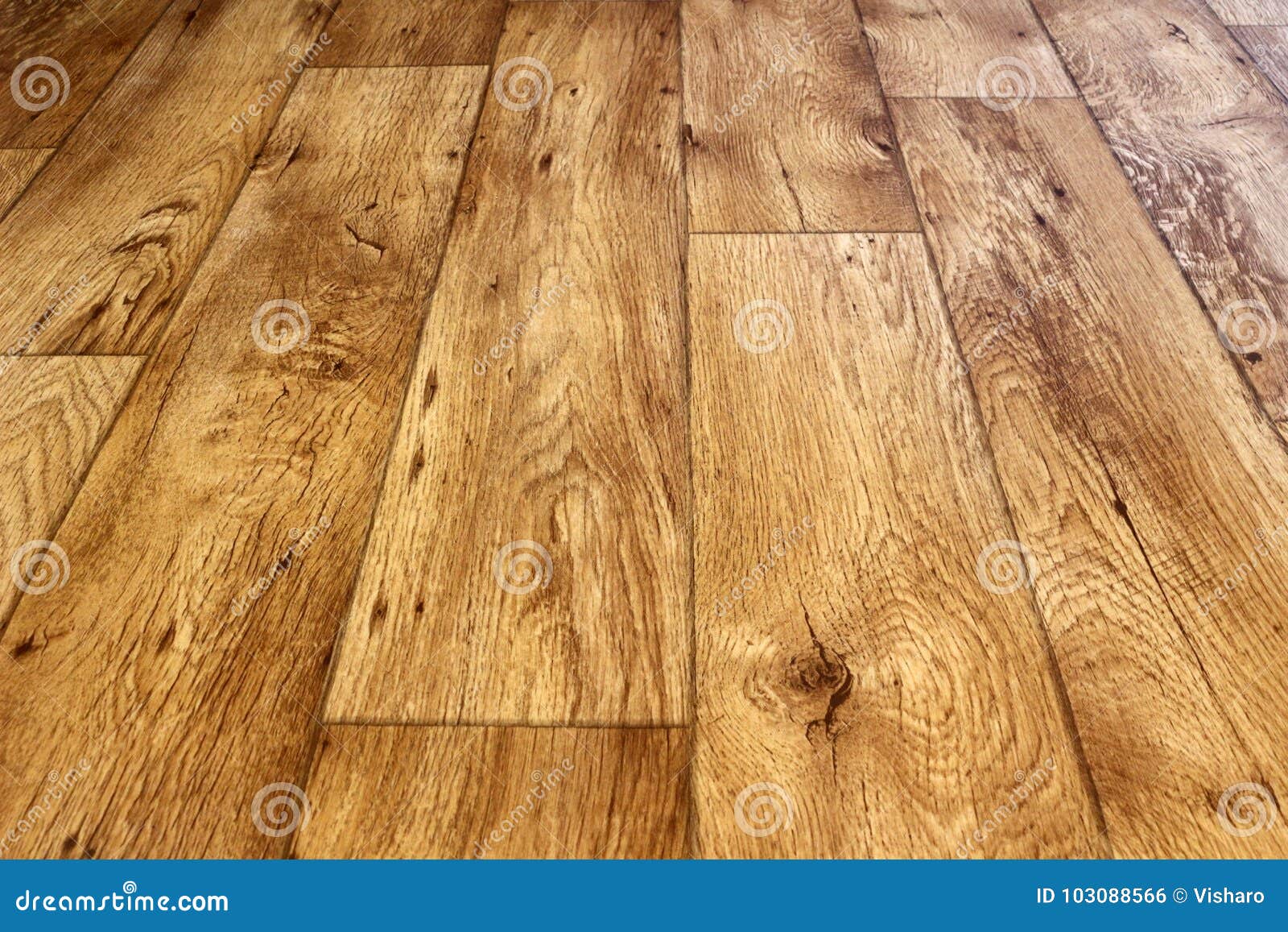 Wood Panel Floor stock photo. Image of grain, wood, pattern - 103088566