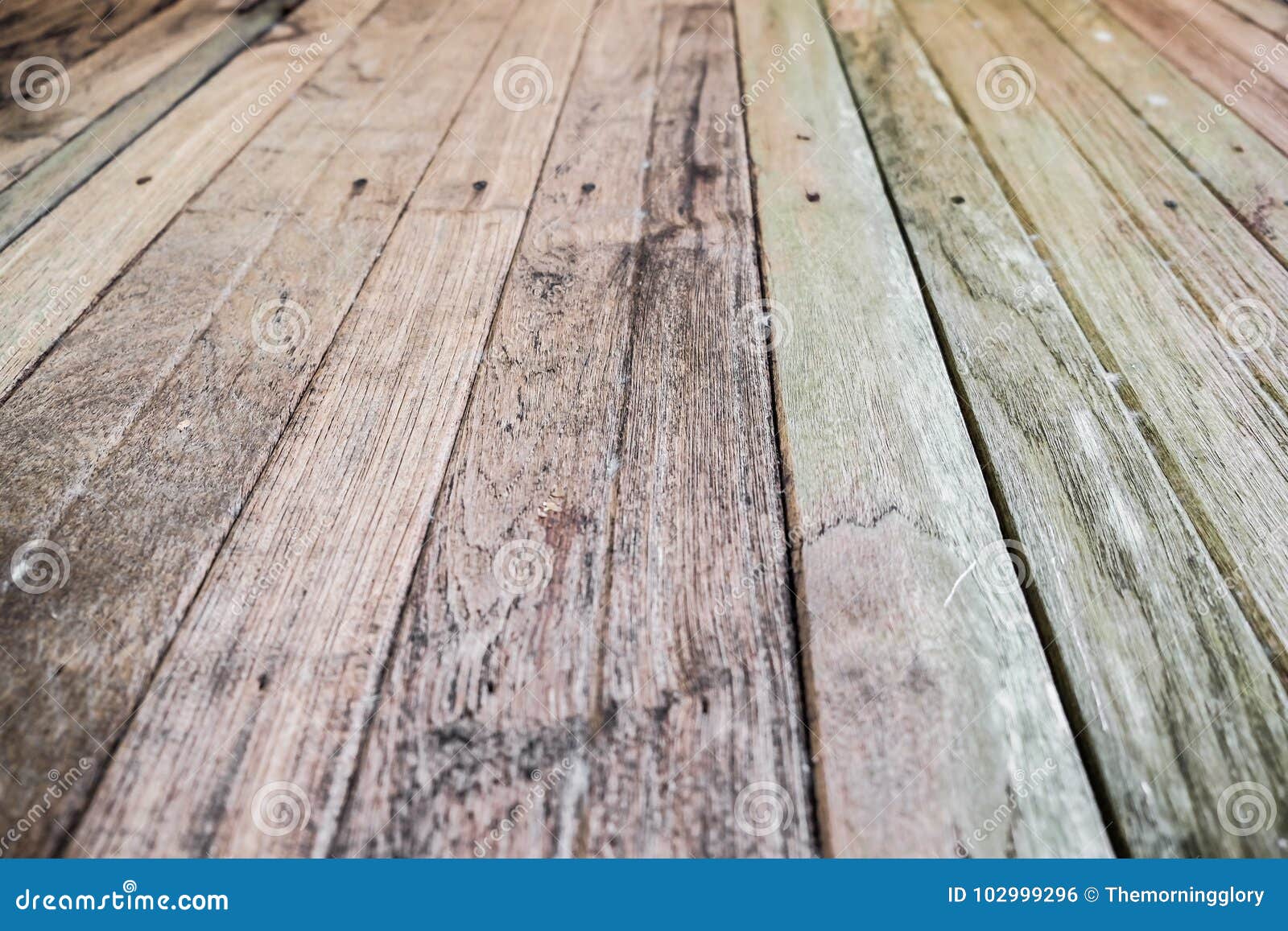 Wood Panel Rustic Background Texture Stock Photo - Image of frame ...