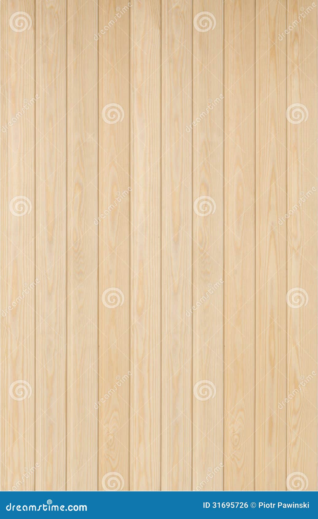 Wood Panels stock photo. Image of lightly, pine, material - 31695726