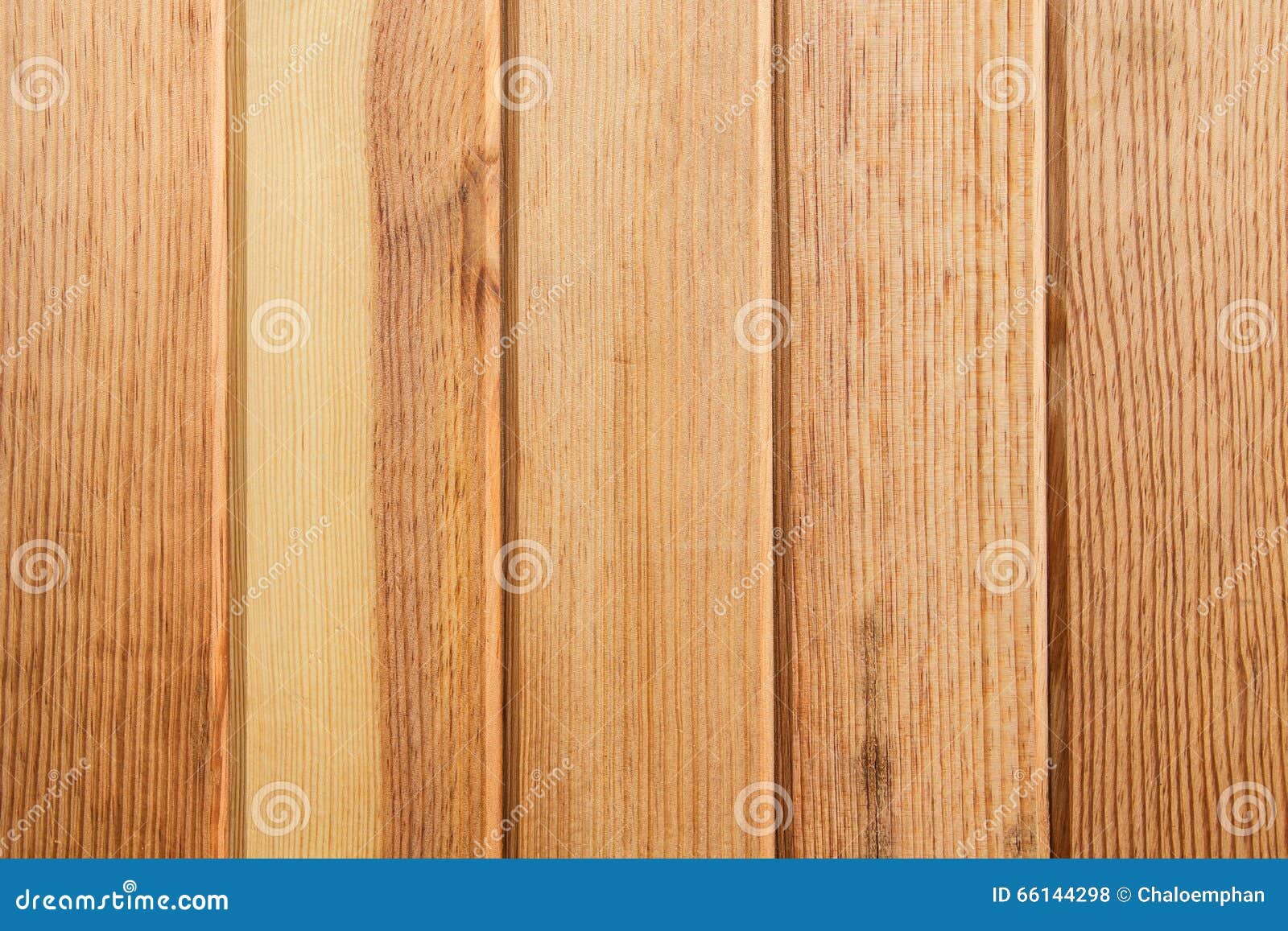 Wood Panels are Vertical Alignment Stock Photo - Image of grey, fence ...