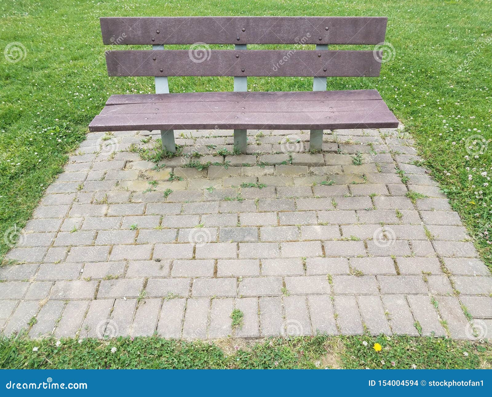 Wood Park Bench and Bricks and Green Grass Stock Photo - Image of chair ...