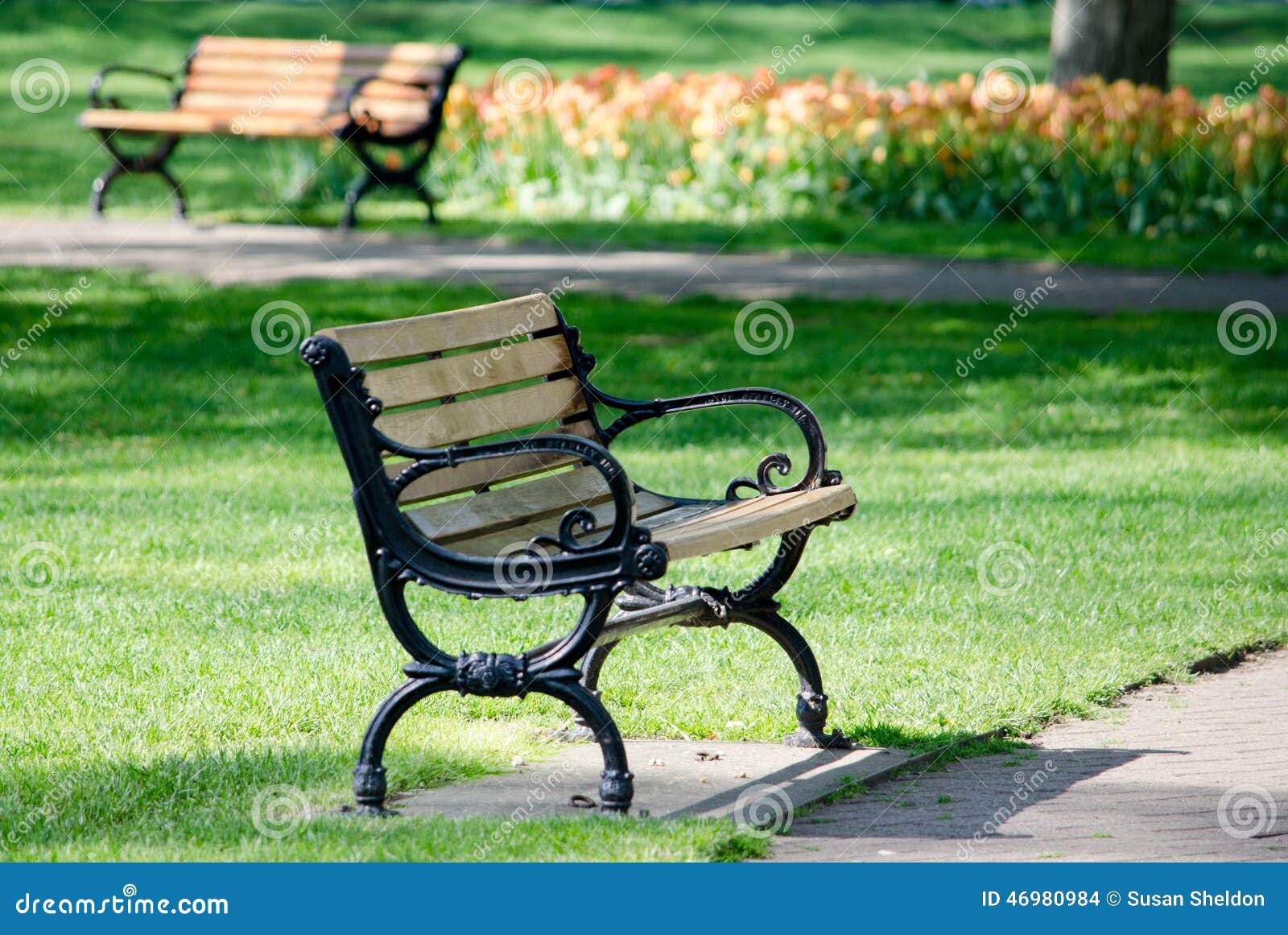 Wood Park Benches in Spring Stock Photo - Image of furniture, natural ...