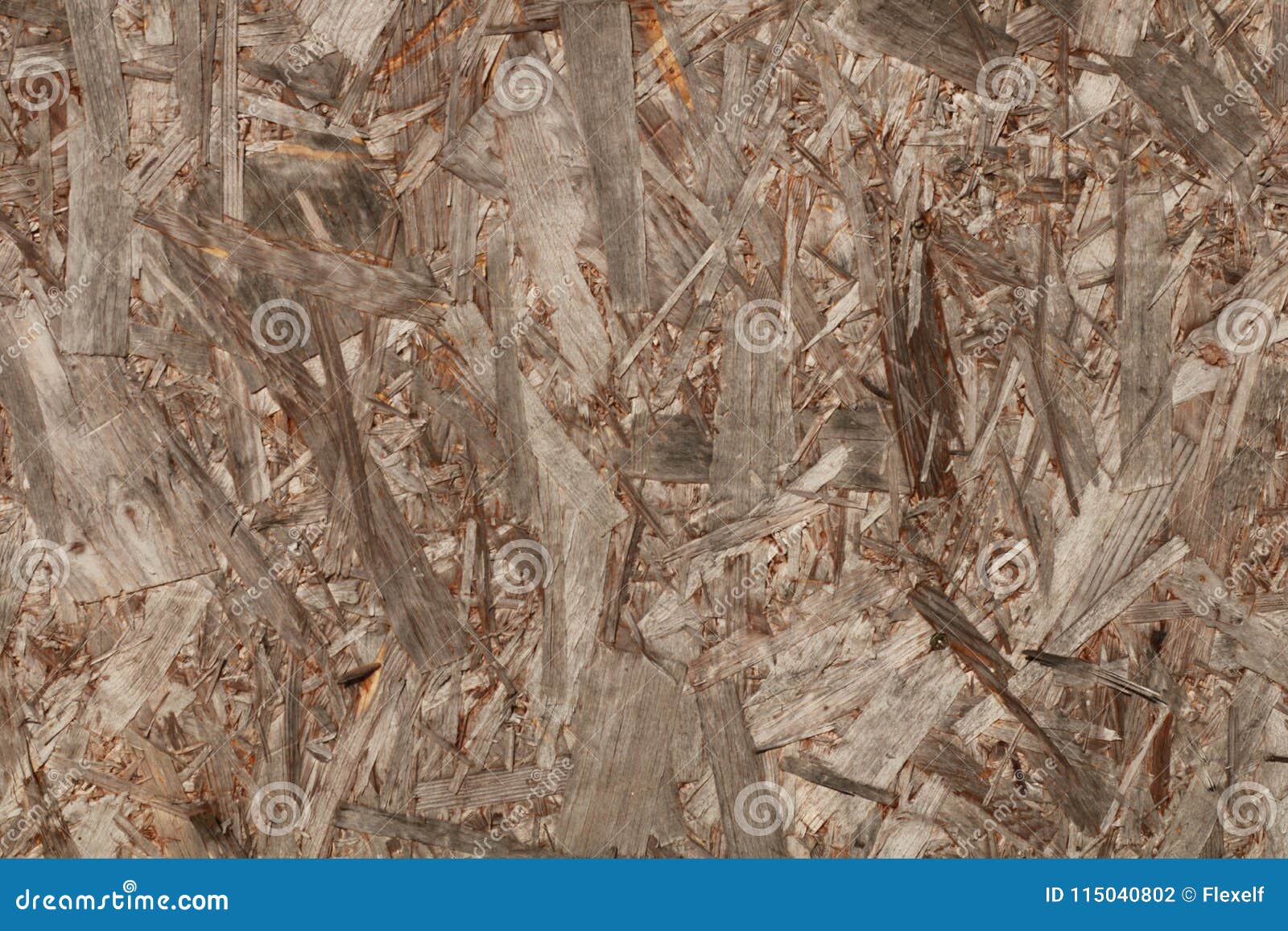 Wood Particle Board Texture. Stock Photo - Image of hardboard, backdrop ...