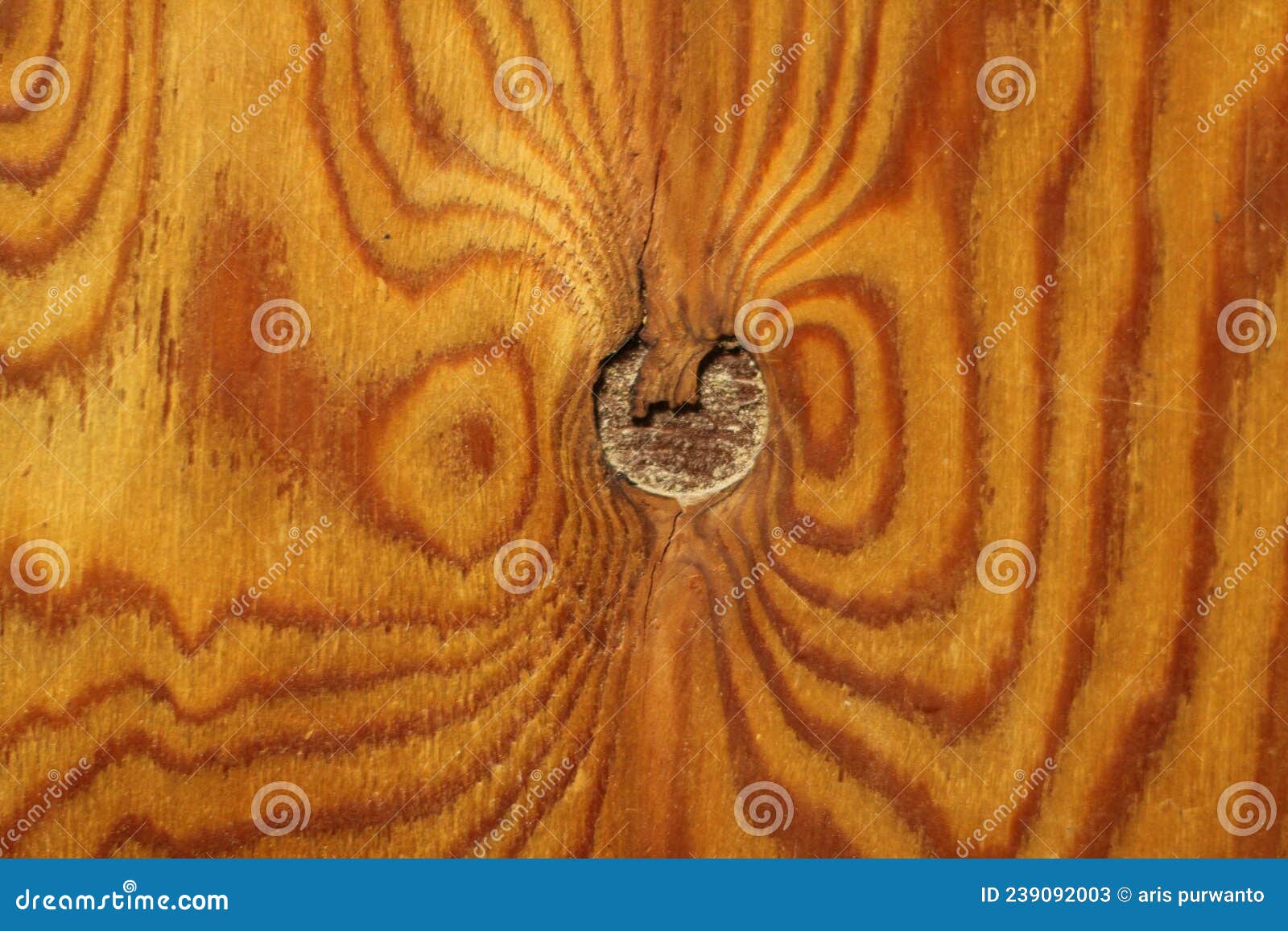 Wood patern stock image. Image of wood, patern, wall - 239092003