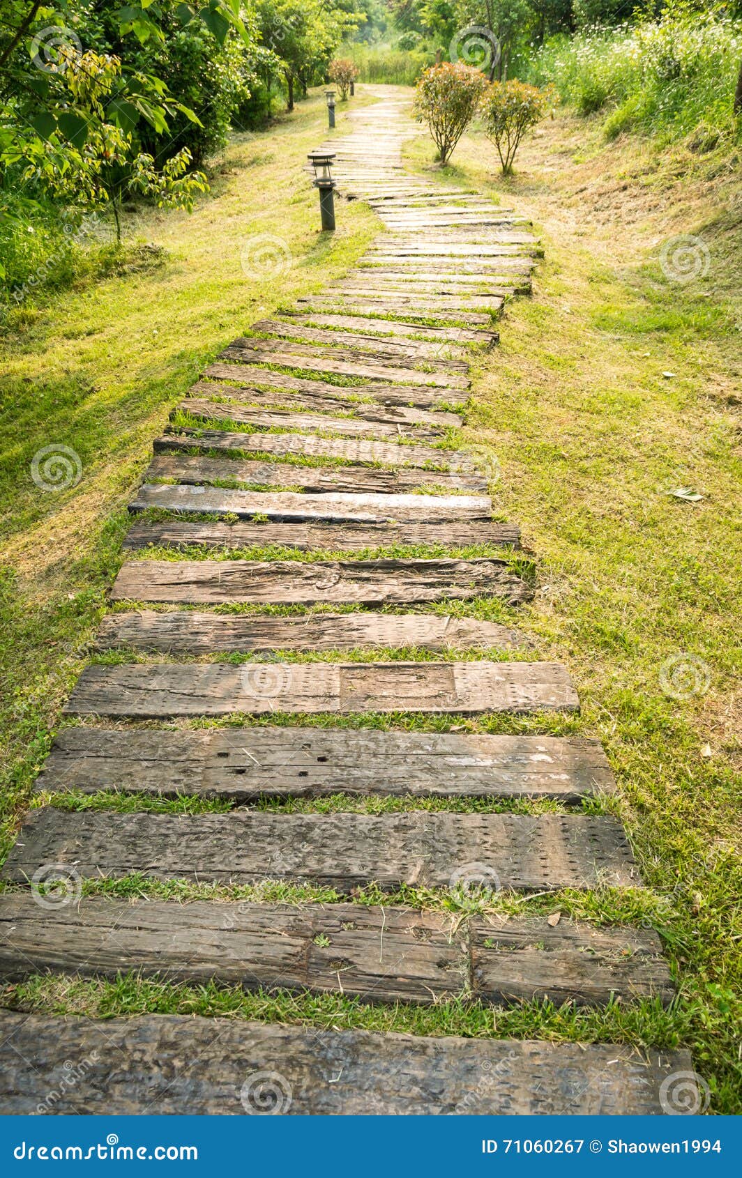 Wood path 2 stock image. Image of pathway, rural, direction - 71060267
