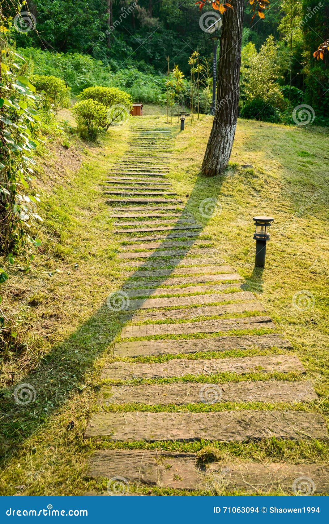 Wood path 3 stock photo. Image of pathway, background - 71063094
