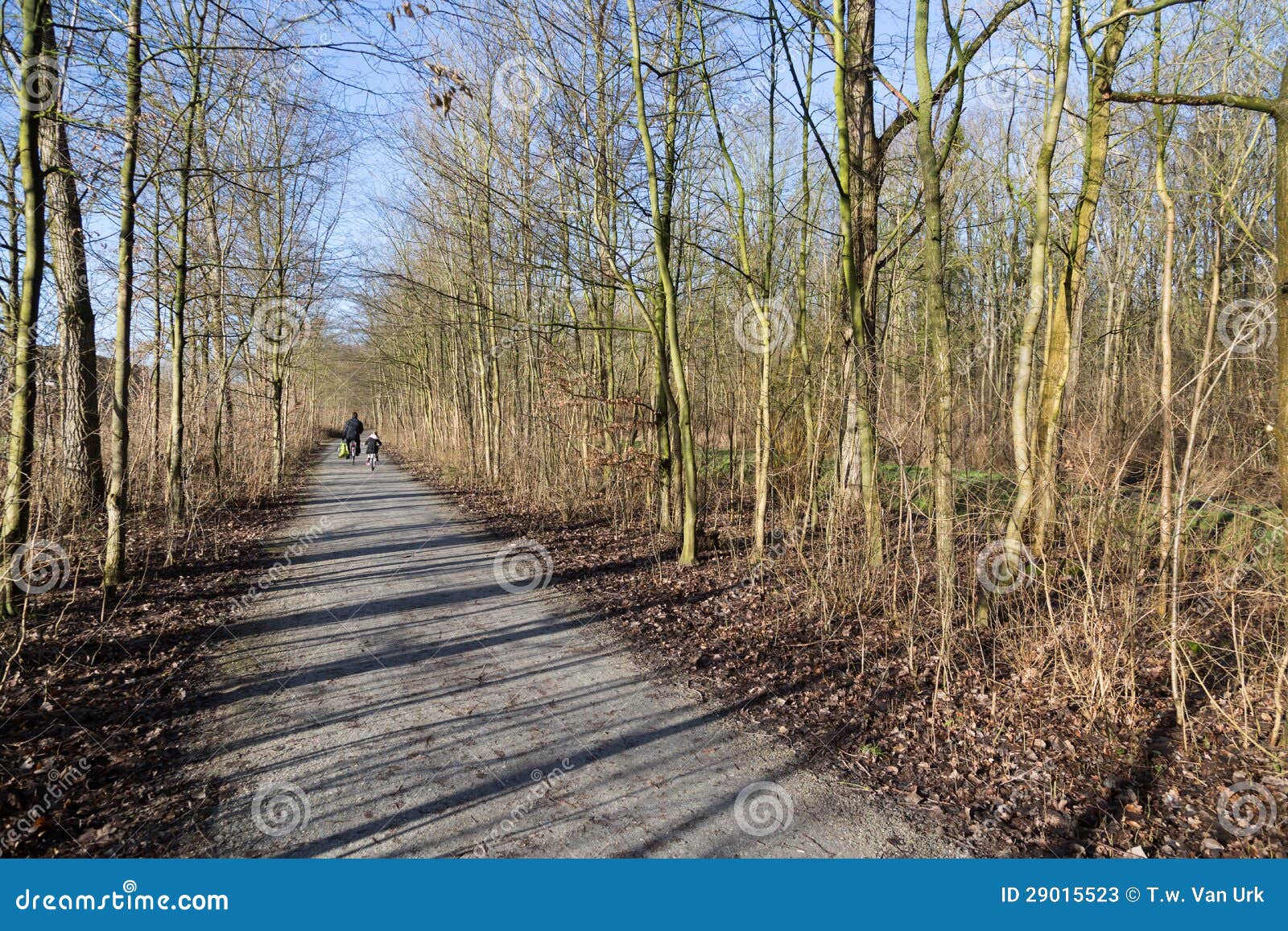 Wood Path with Cyclists in Early Spring Stock Image - Image of bright ...