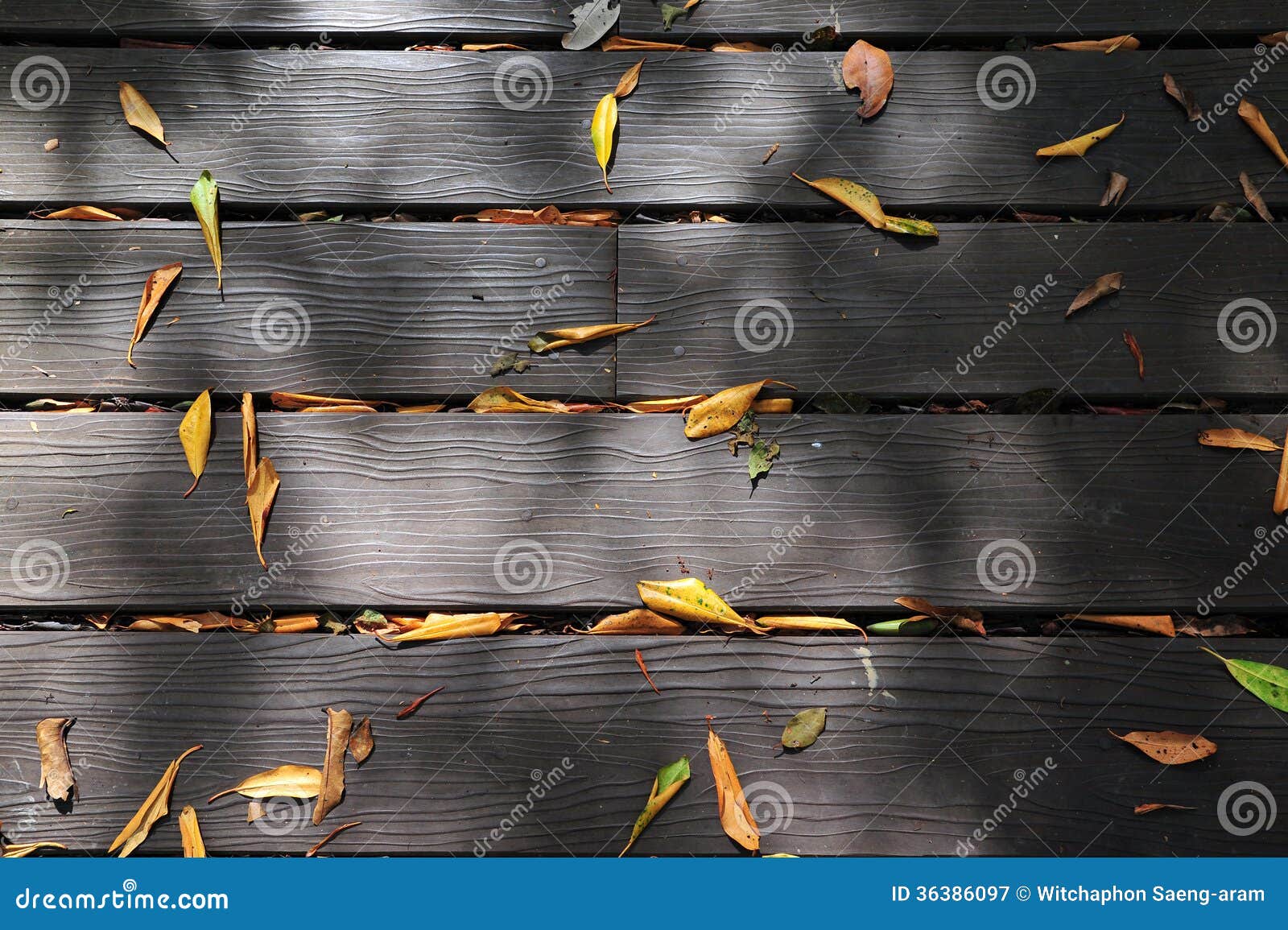 The wood path texture stock image. Image of surface, panel - 36386097