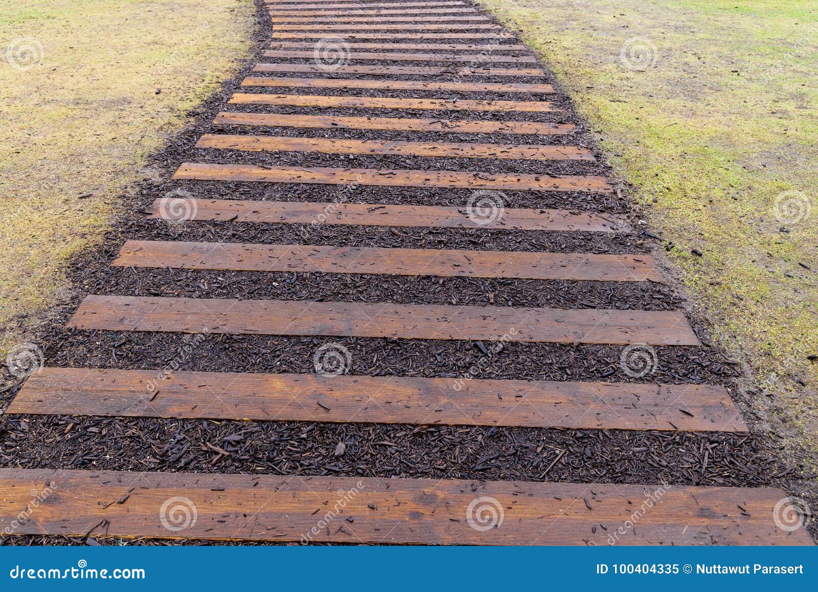 Wood Path Walkway & Green Grass Lawn in Perspective View Stock Image ...