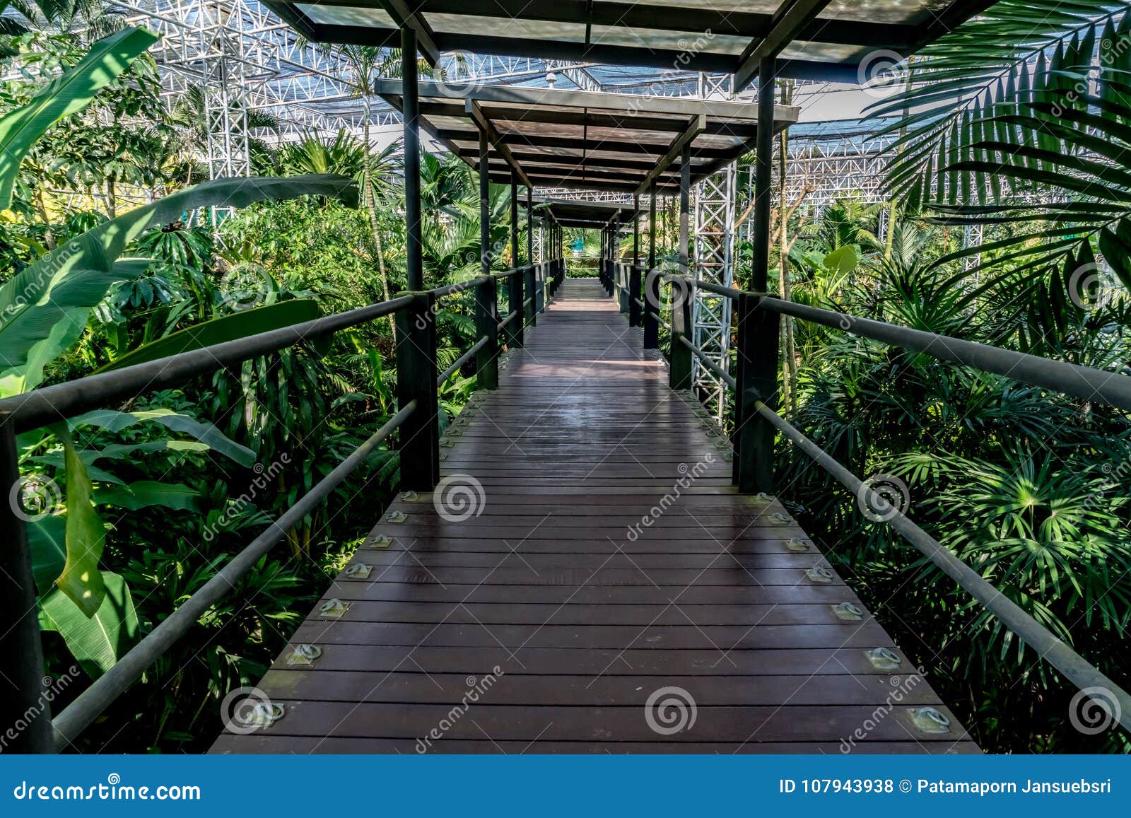Footbridge in the park stock photo. Image of forest - 107943938